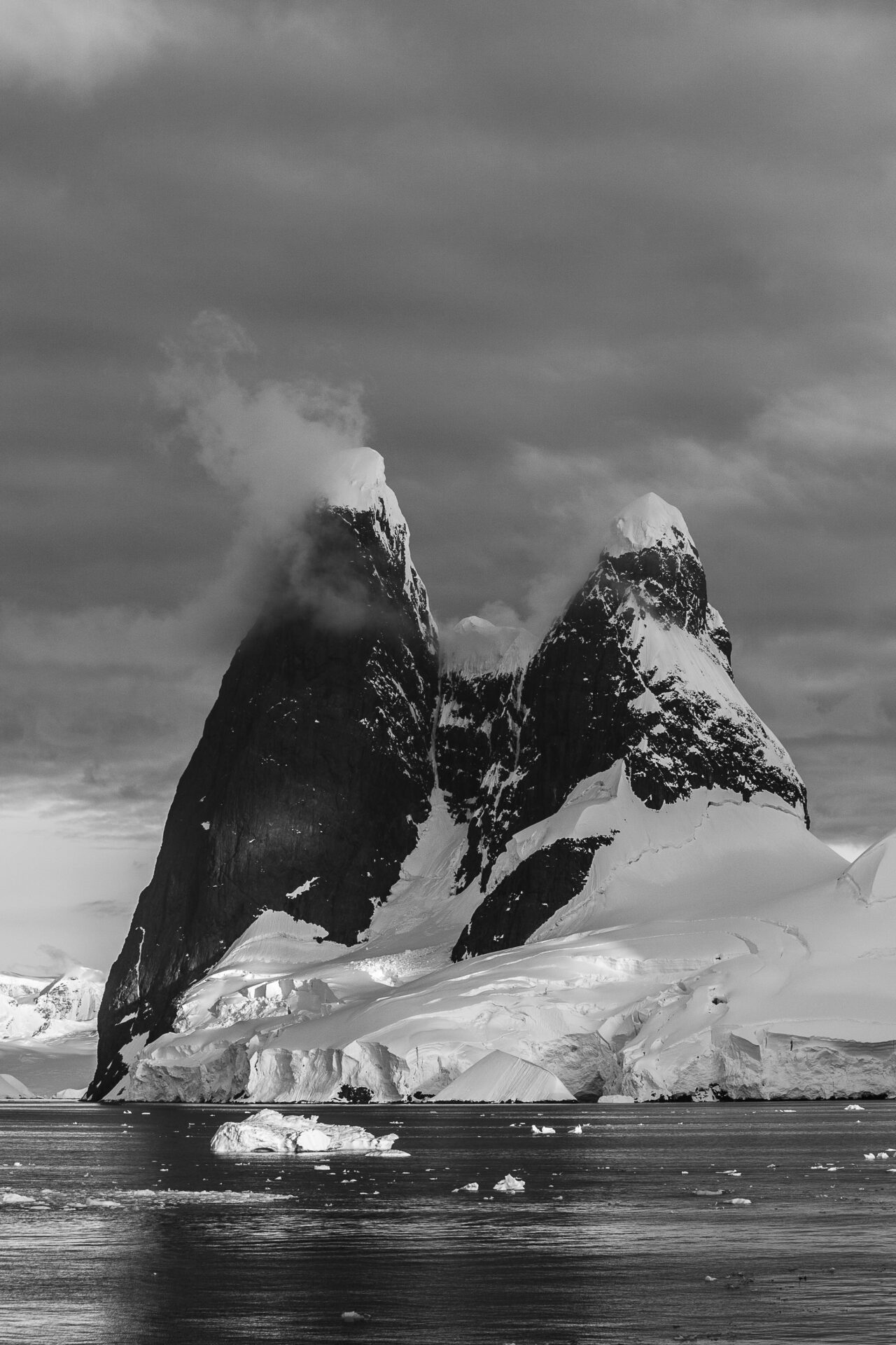 "A slap in the face" - Hauraki Gulf backtrack lambasted by WWF ...