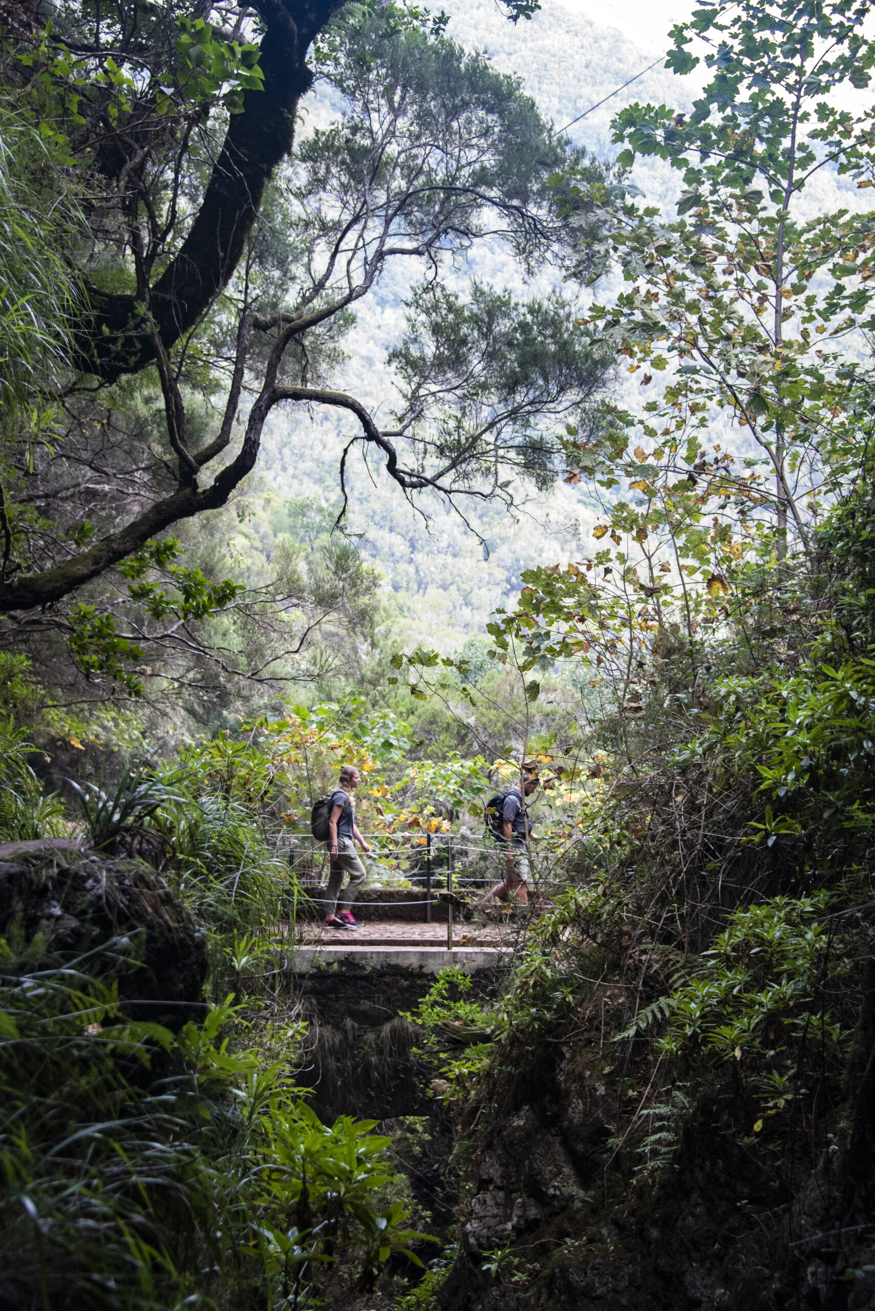 Madeira's levadas: An ingenious system - Oceanographic
