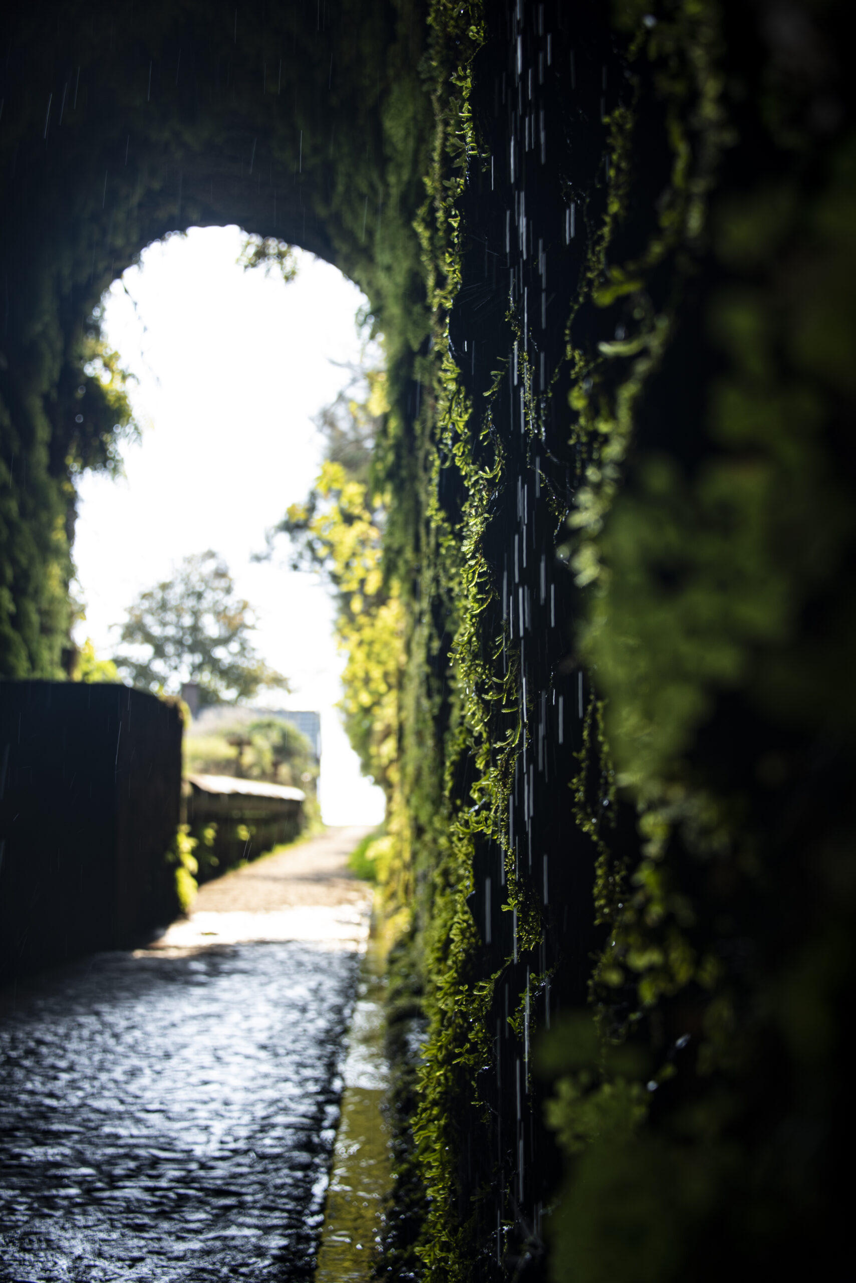 Madeira's levadas: An ingenious system - Oceanographic