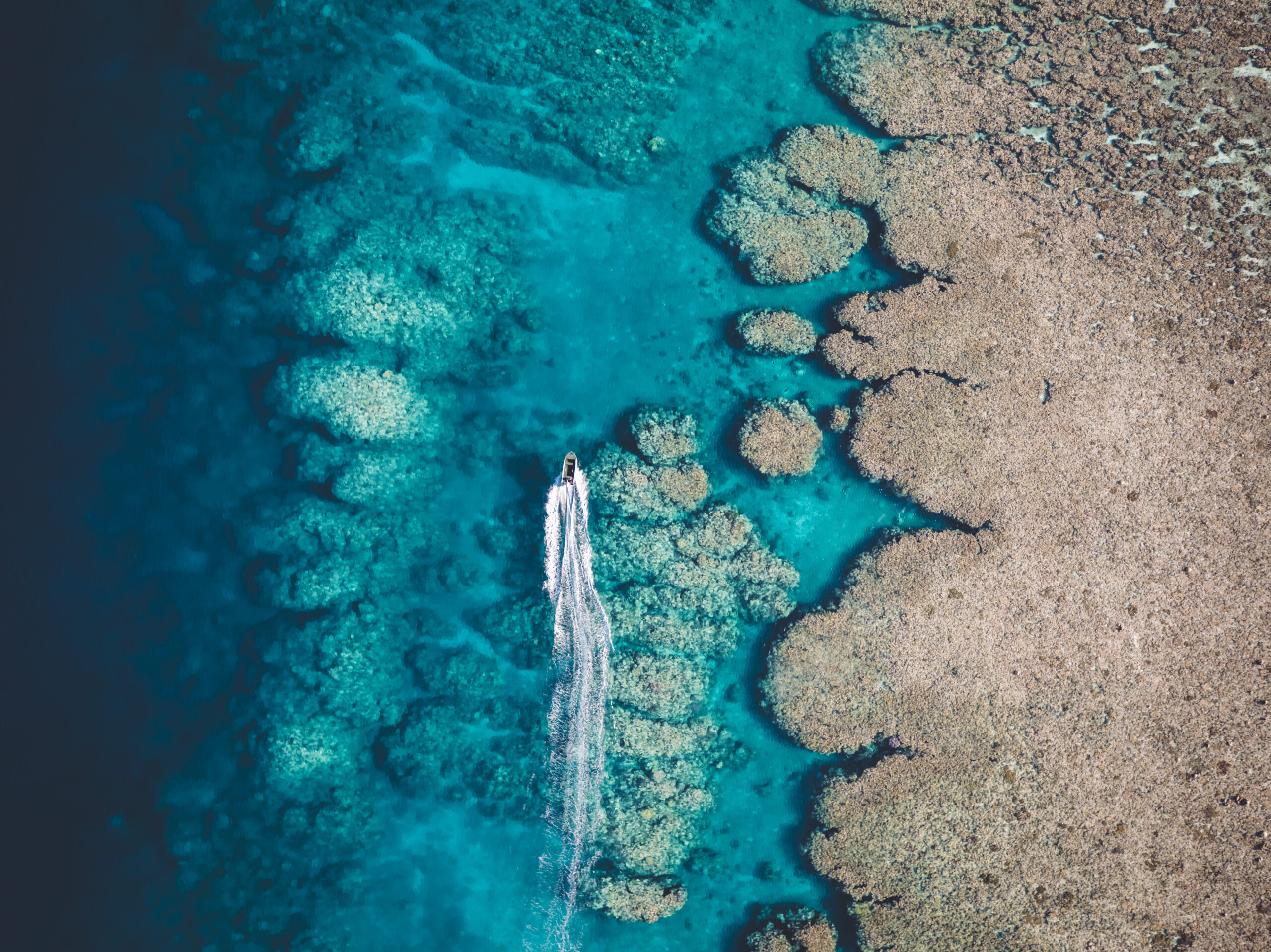 The pristine reefs of the Rowley Shoals - Oceanographic