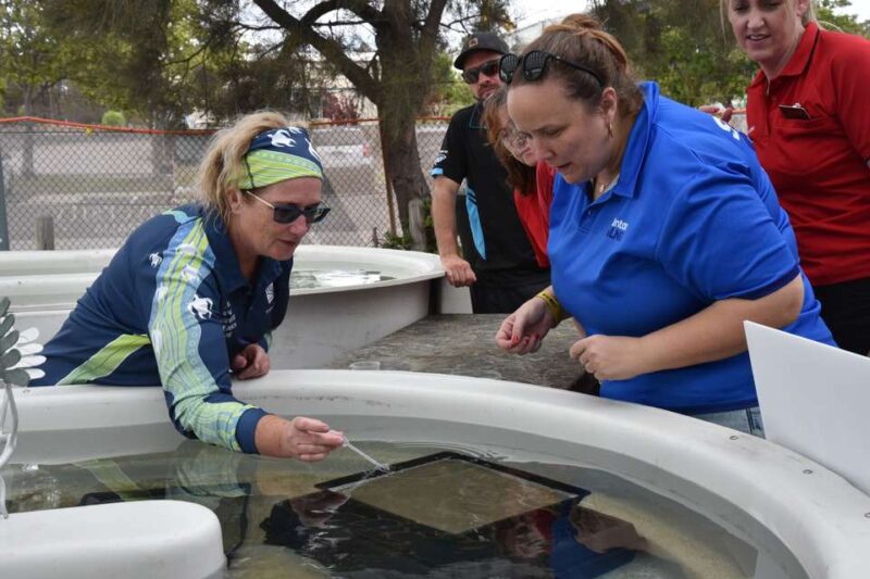 World's largest seagrass nursery opens in Australia - Oceanographic