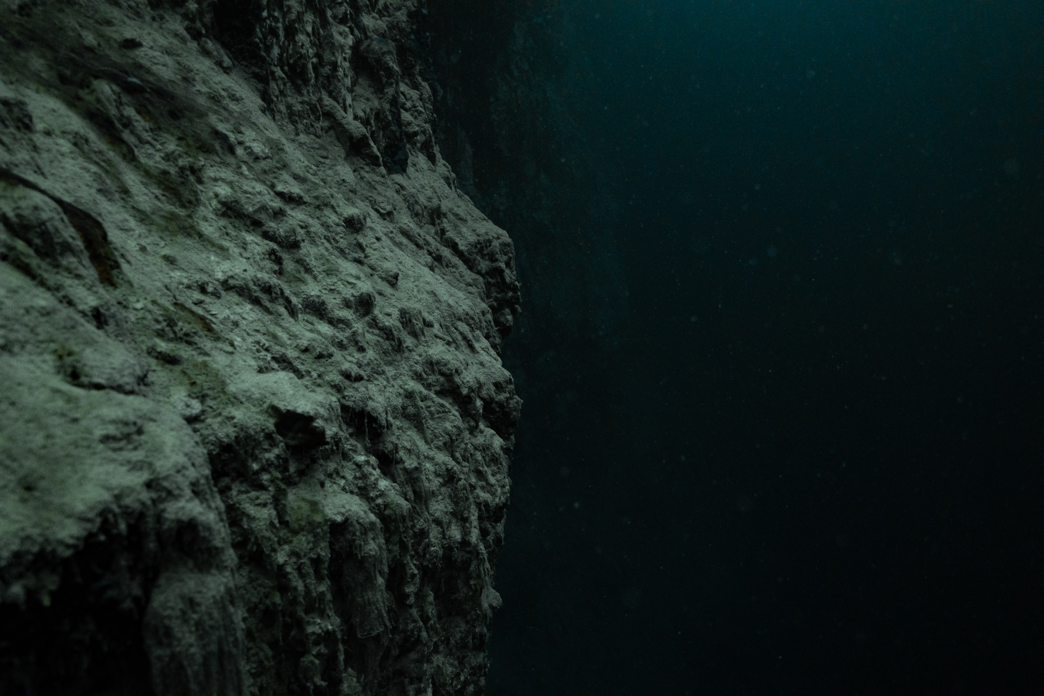 Taam Ja': Diving the world's deepest blue hole