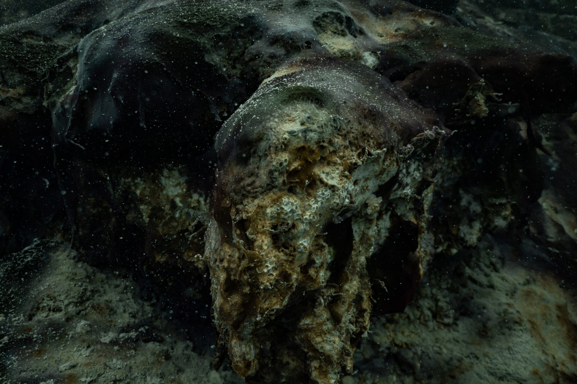 Taam Ja': Diving the world's deepest blue hole
