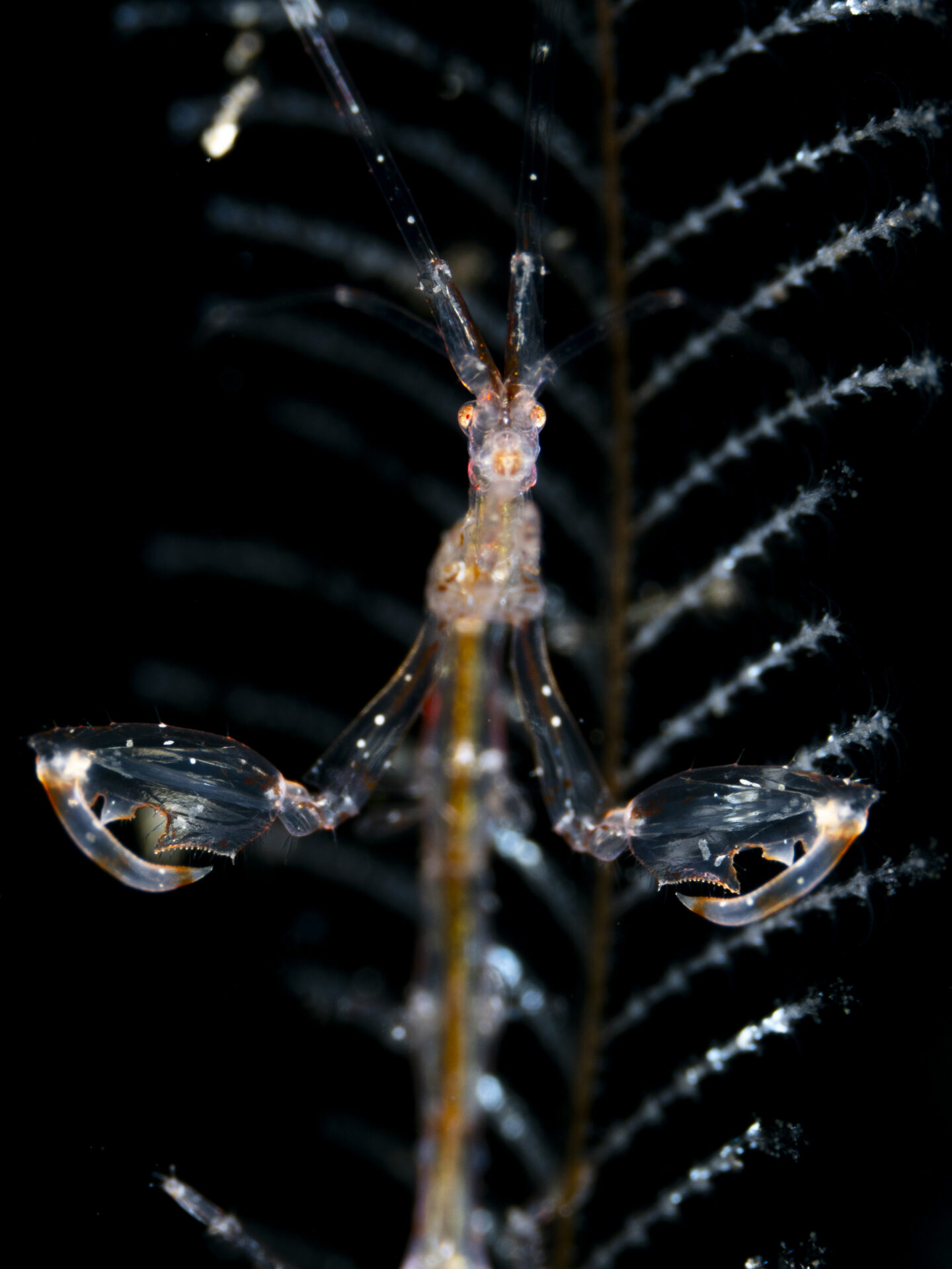 Jacob Guy: "Just get in the water"