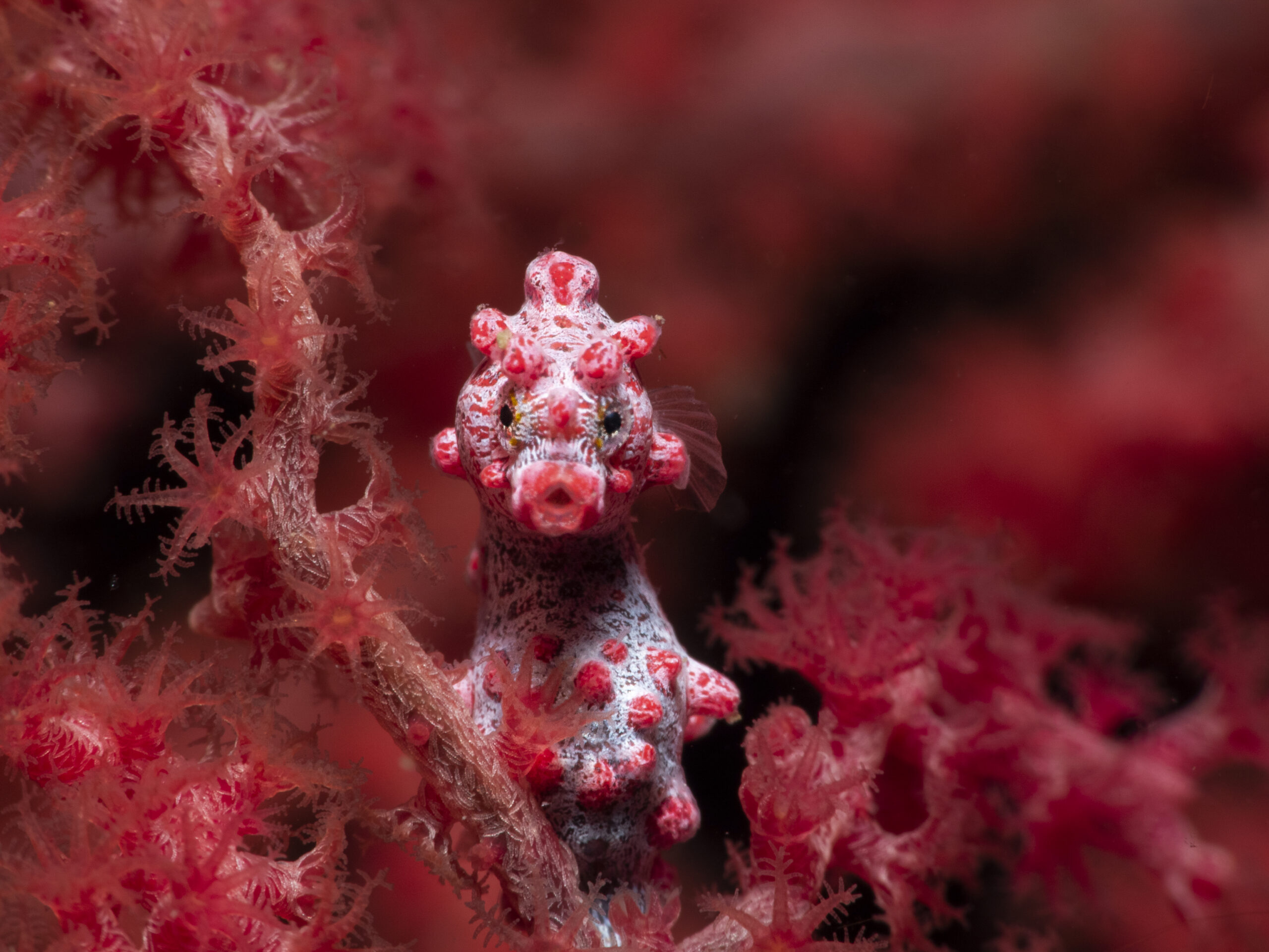 Jacob Guy: "Just get in the water"