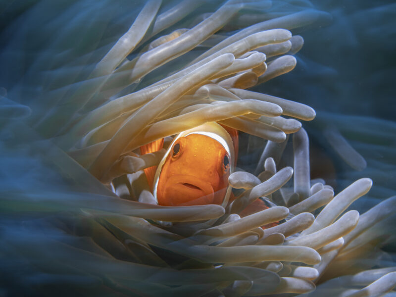 Jacob Guy: "Just get in the water"