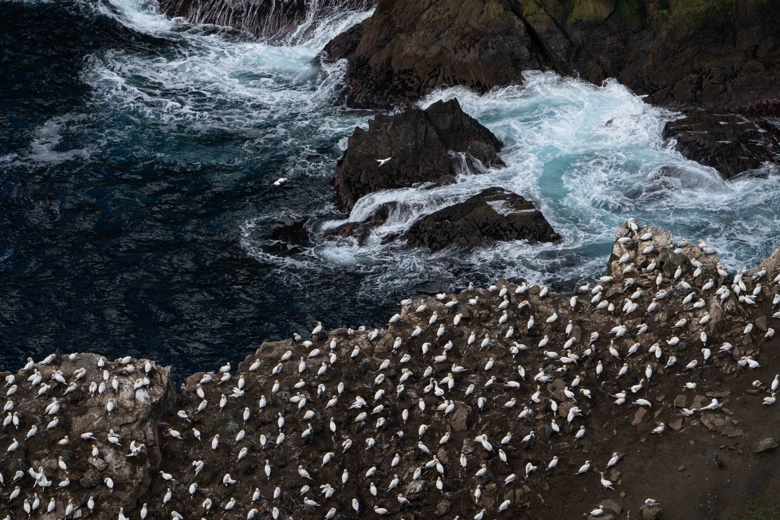 Pen Hadow: The Arctic bug - Oceanographic