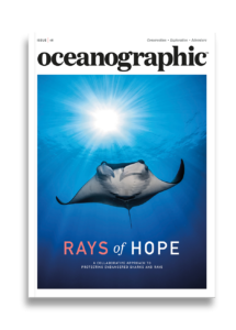 AMOC: Atlantic current collapse 'closer than we think' - Oceanographic