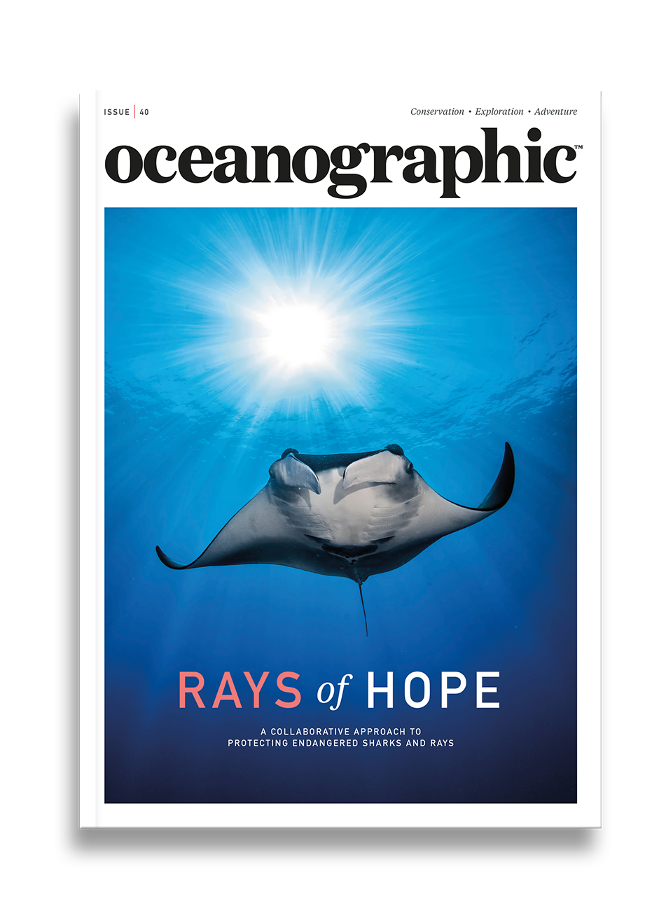 Creepy crustacean: Meet the deep sea predator named 'darkness' - Oceanographic