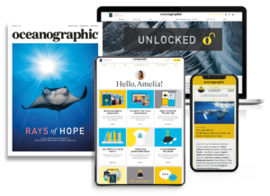 Subscriptions - Oceanographic