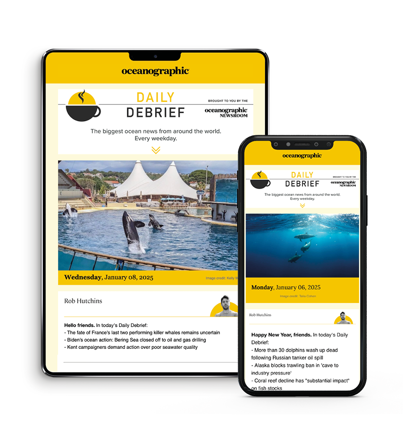 Colossal Squid Filmed Alive On Camera For First Time Ever Oceanographic