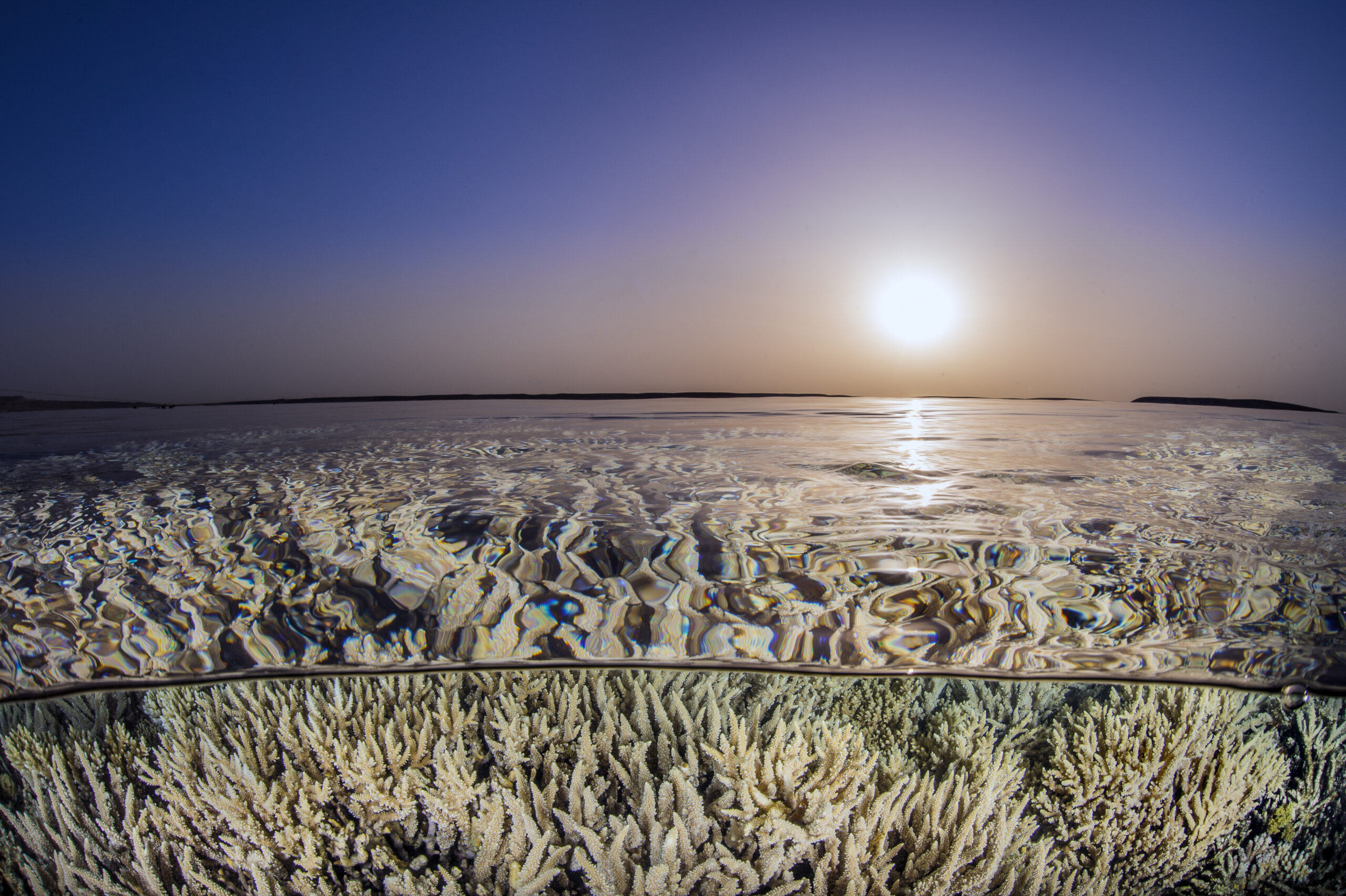 Guest opinion: High Seas Treaty, a new dawn for the ocean - Oceanographic