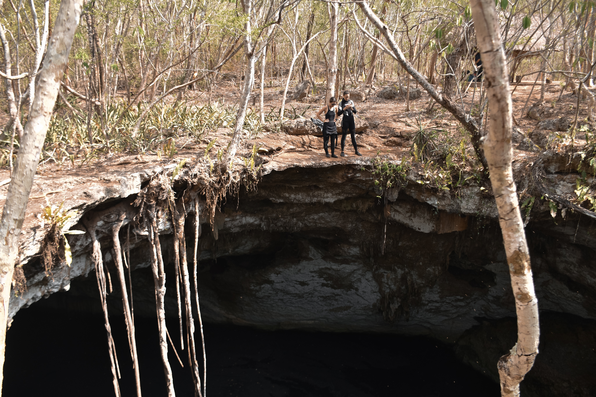 The ring of cenotes