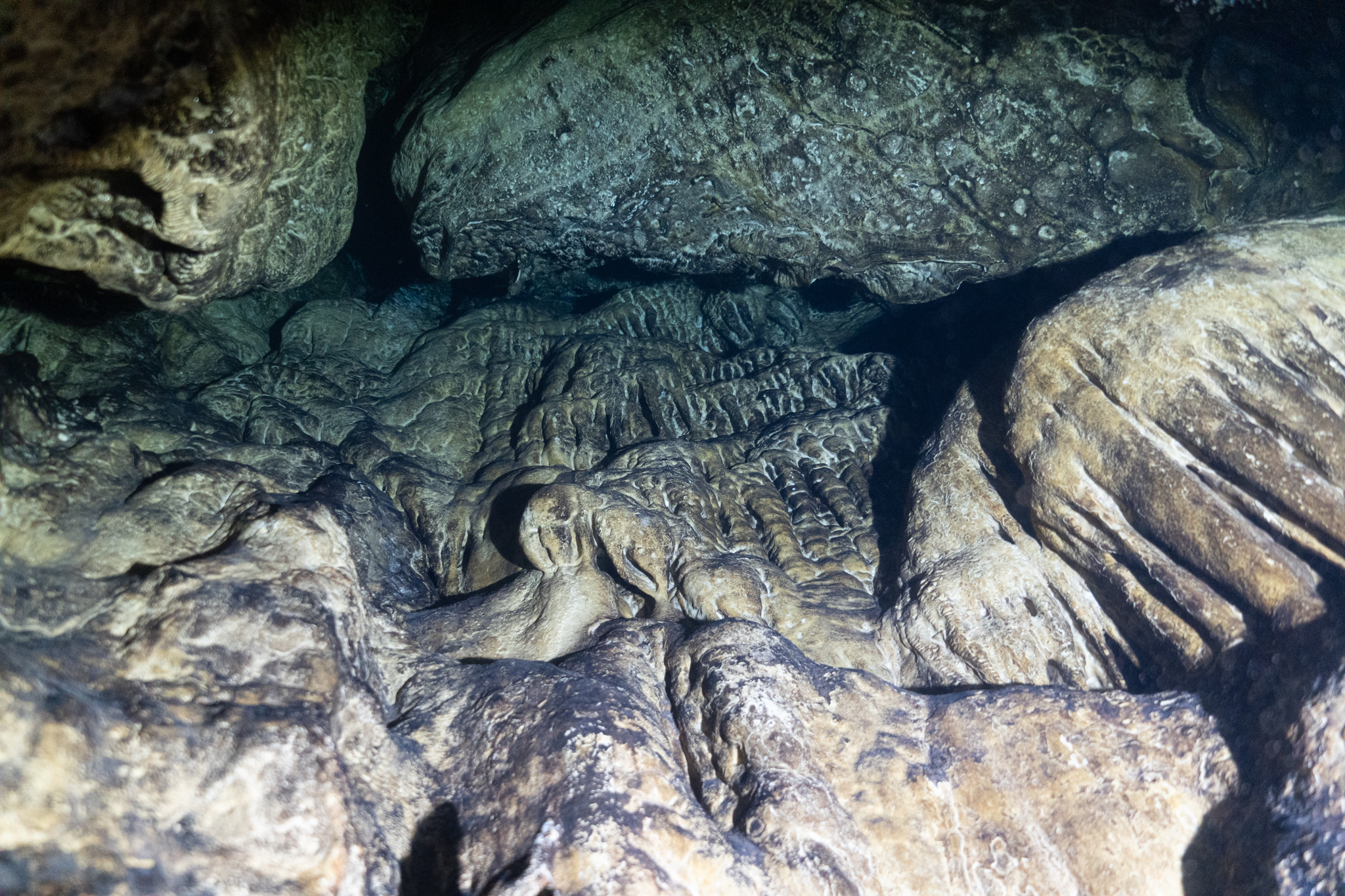 The ring of cenotes