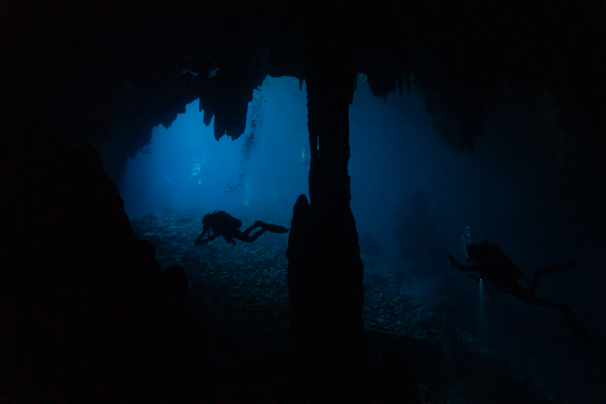 The ring of cenotes
