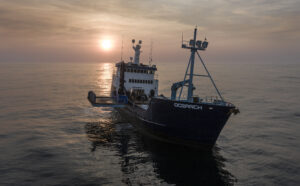 Largest ever great white shark recorded and tagged in the Atlantic ...