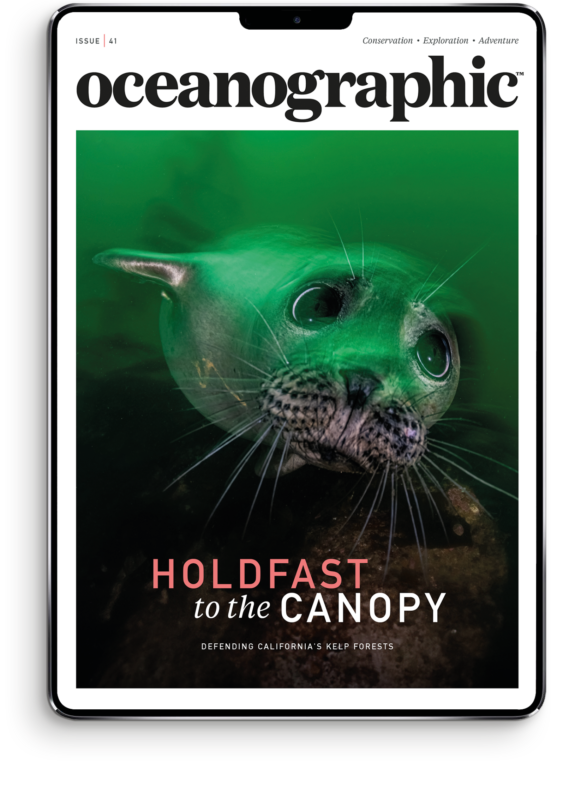 The Great Wall of Fiji: Expeditions to the island nation's barrier reef - Oceanographic