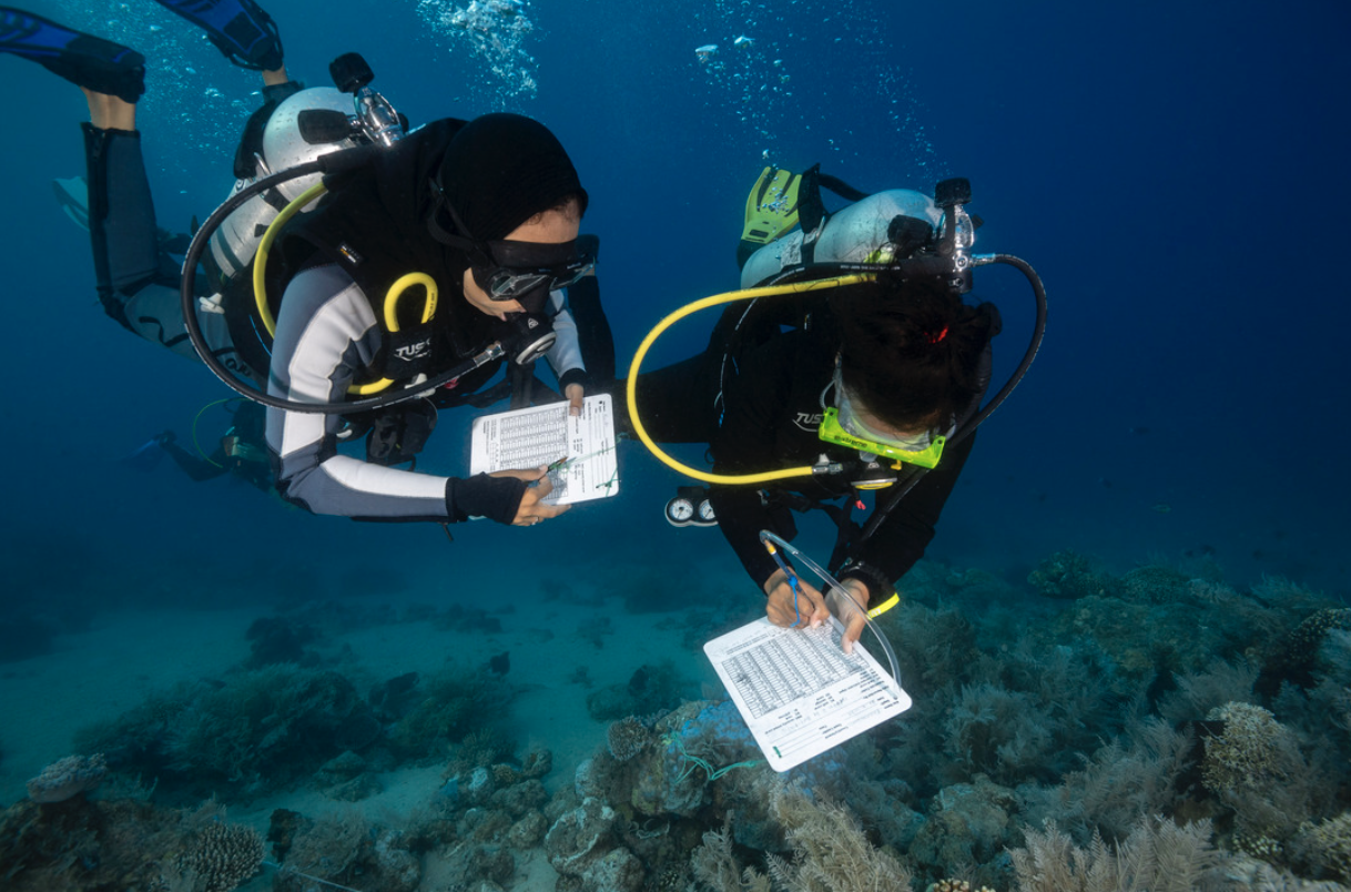 Ocean surface temperatures warming four times faster than in '80s ...