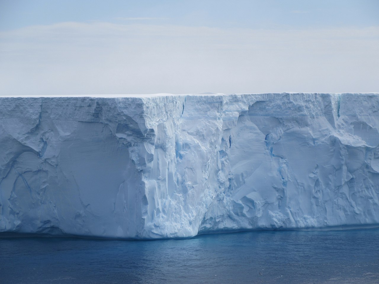 Trillion tonne iceberg runs aground off island of South Georgia ...