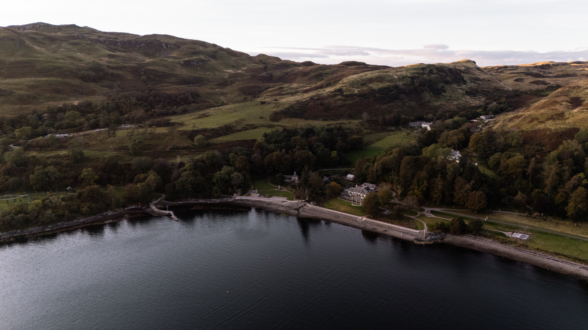 Scotland's flapper skate