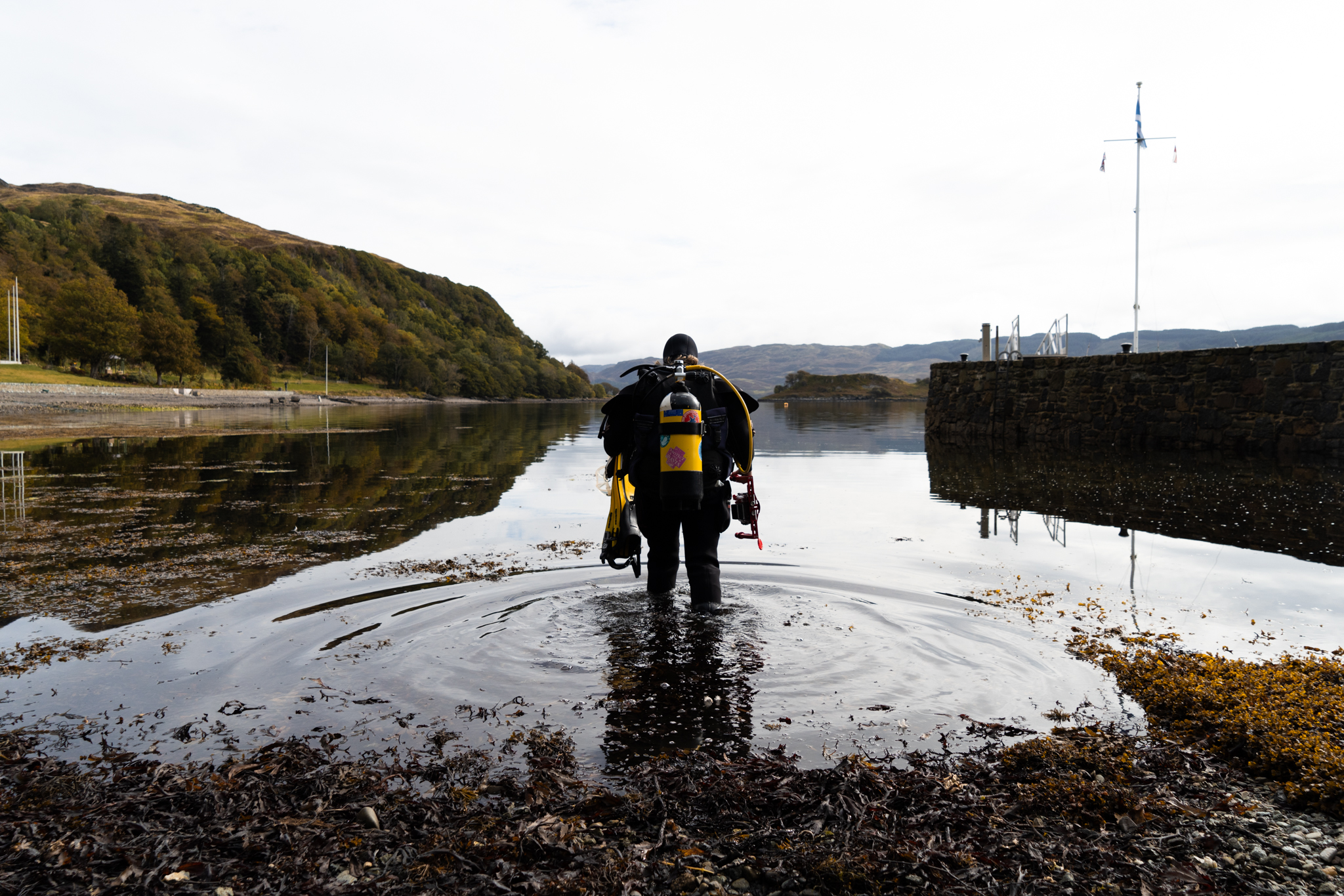 Scotland's flapper skate