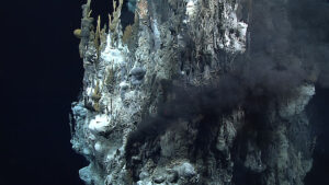 Thousands of microbial species found in ocean's deepest region ...