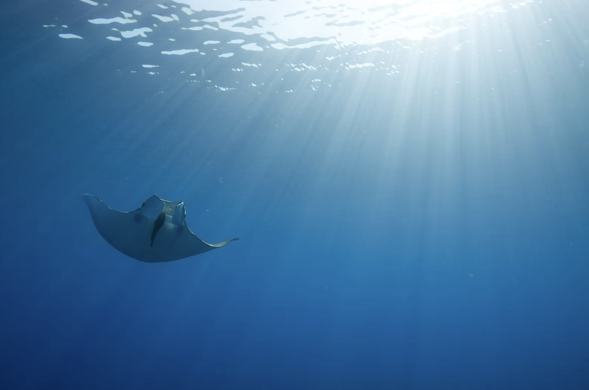 DEEP: Humans to permanently live underwater from 2027