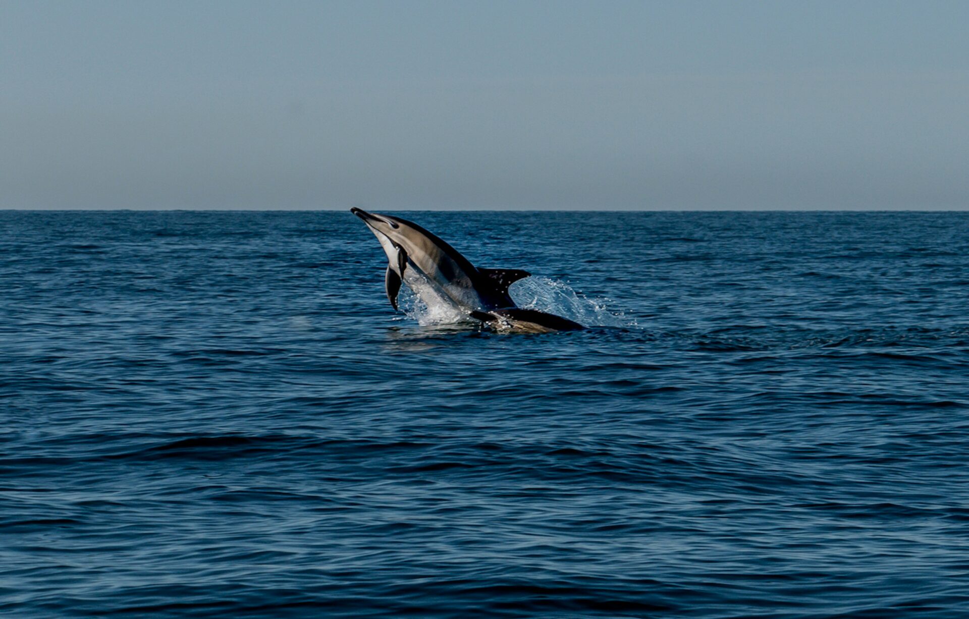 Arctic Ocean could see its first ice free day by 2027 - Oceanographic