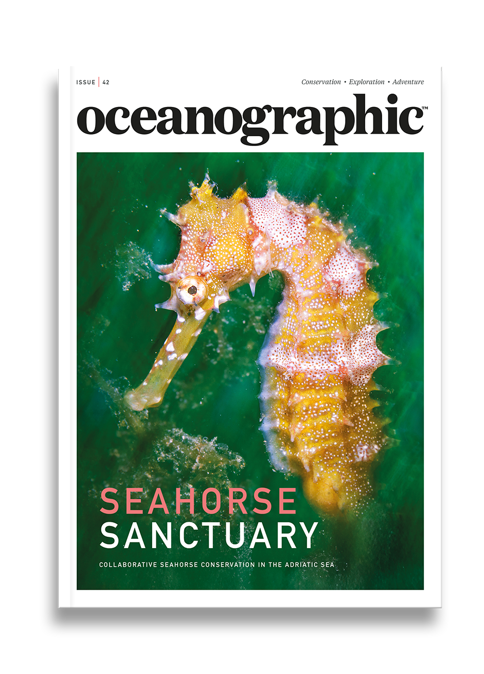 AMOC: Atlantic current collapse 'closer than we think' - Oceanographic