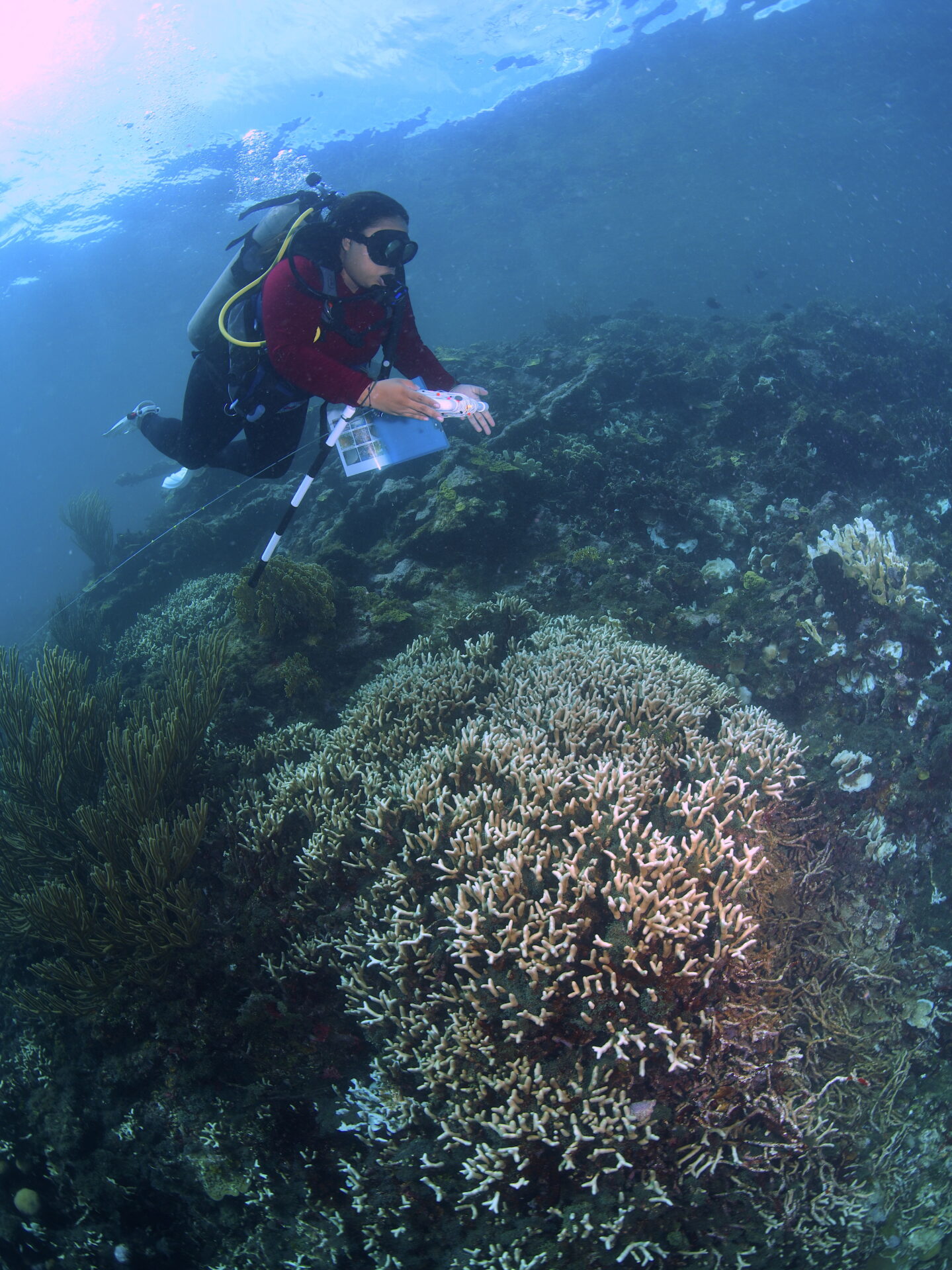 Women of Coral: Leading change in Guna