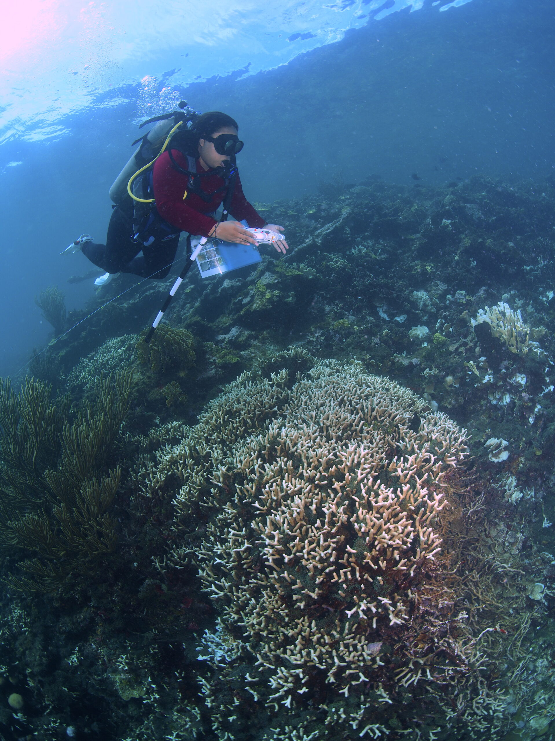 Women of Coral: Leading change in Guna