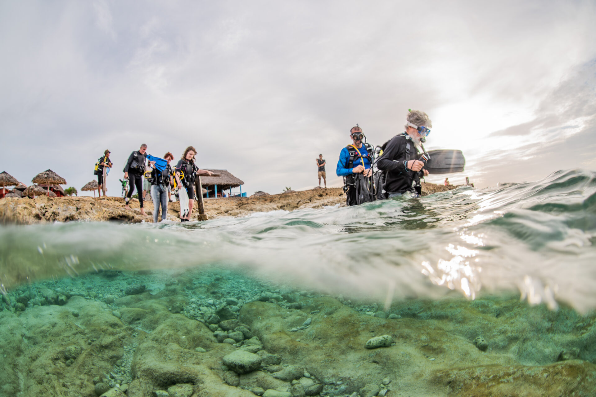 Survival at sea: Cuba is rewriting its coral story
