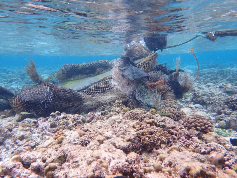 AMOC: Atlantic current collapse 'closer than we think' - Oceanographic