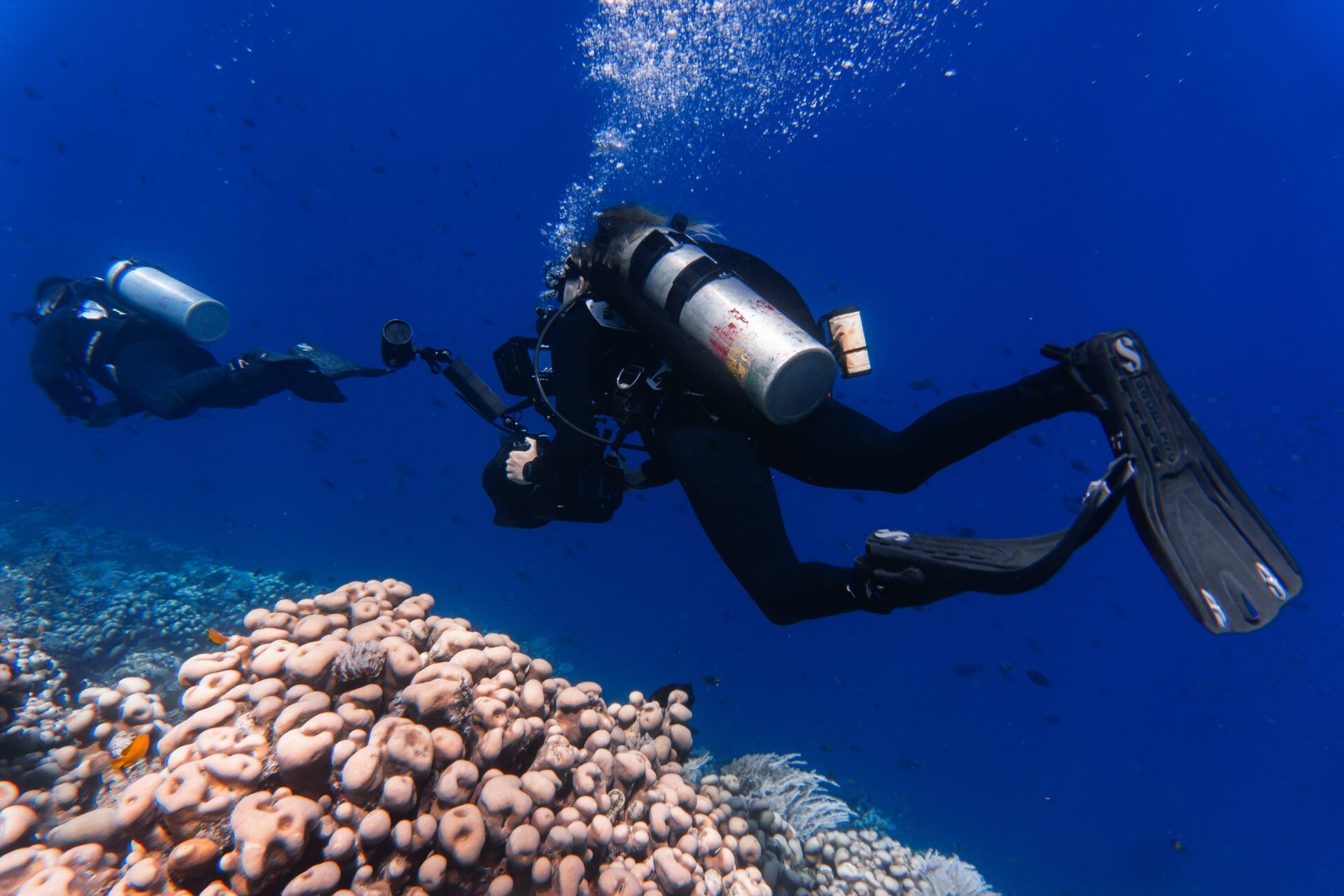Spearguns, sarongs and subsistence in Timor Leste - Oceanographic