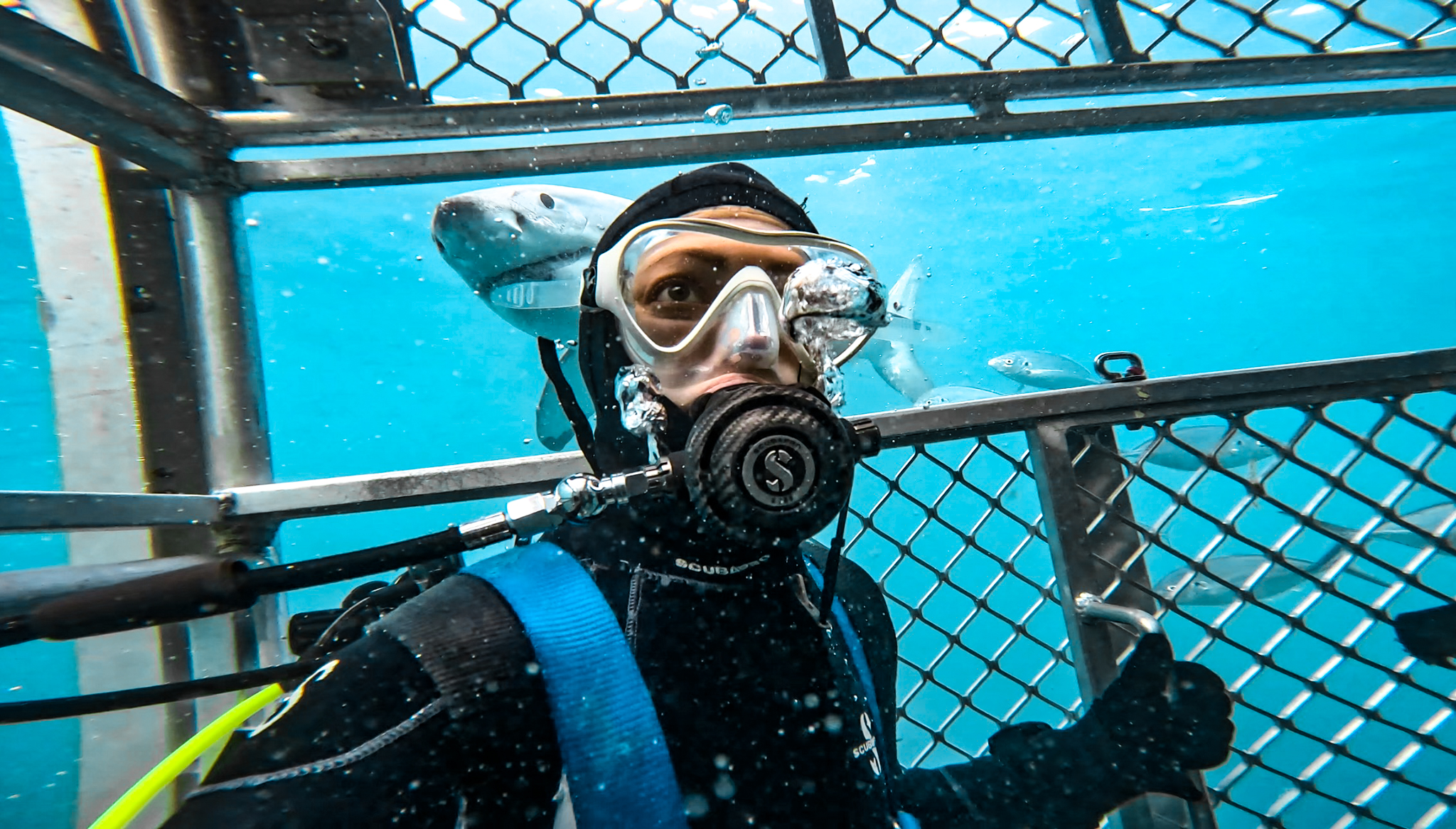 Andi Cross: The in-betweeners and the courage to belong - Oceanographic