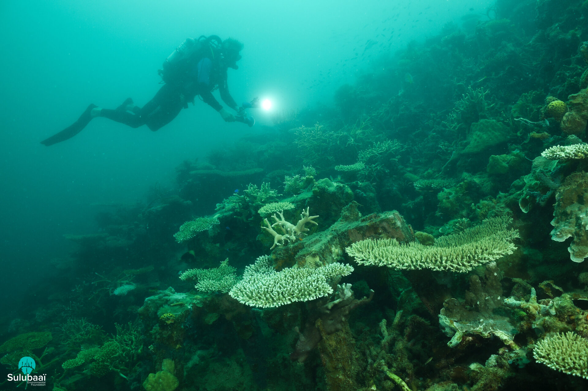 Their fate, their future: Community conservation of Palawan