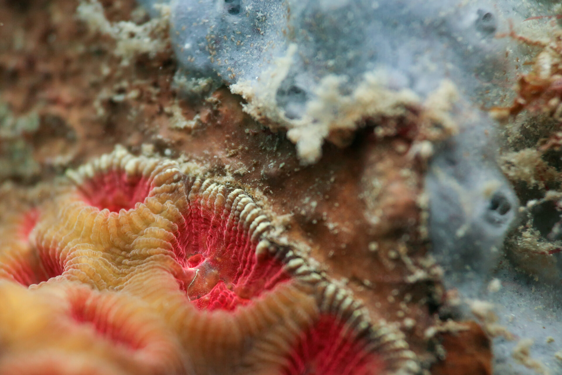 Their fate, their future: Community conservation of Palawan