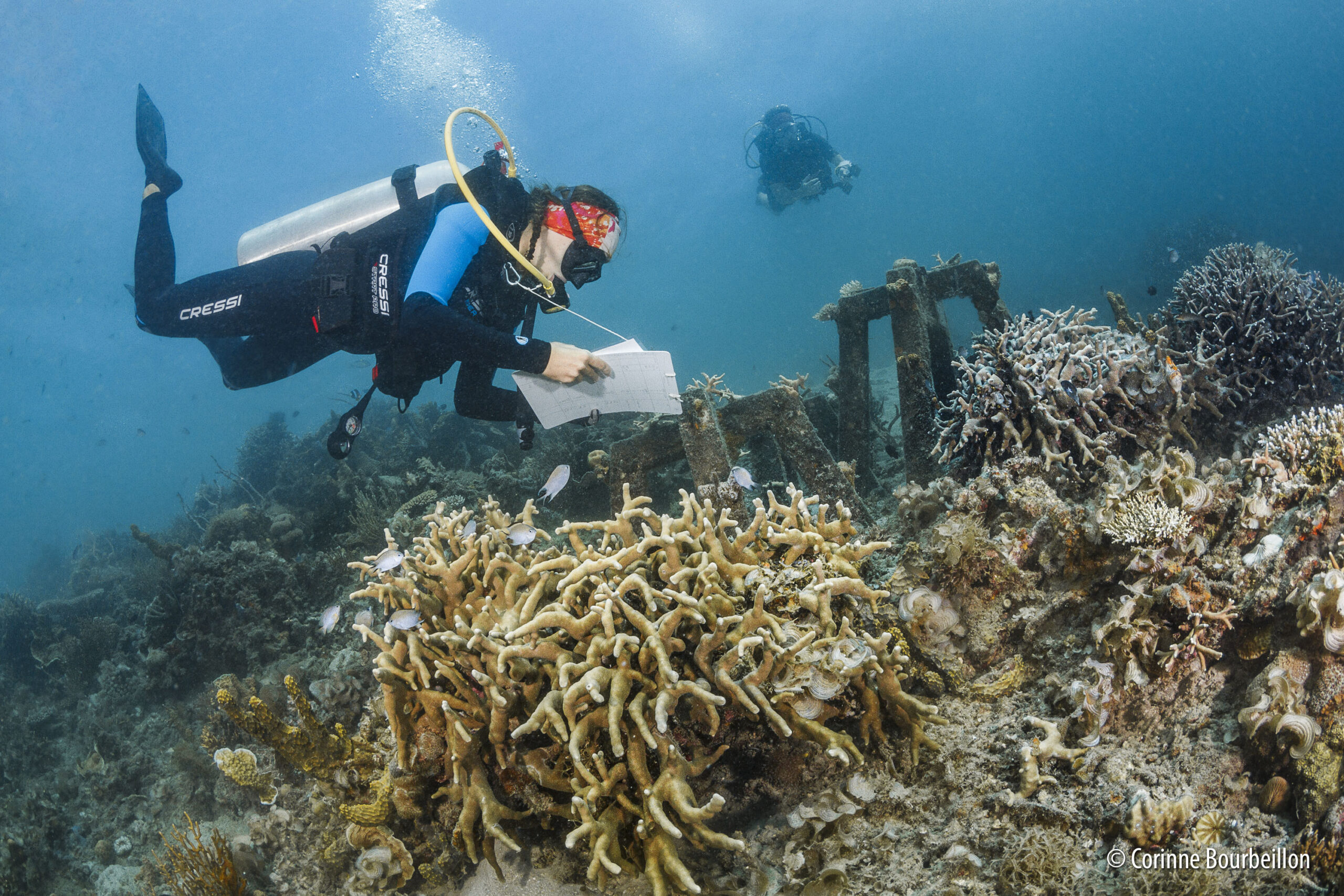 Their fate, their future: Community conservation of Palawan