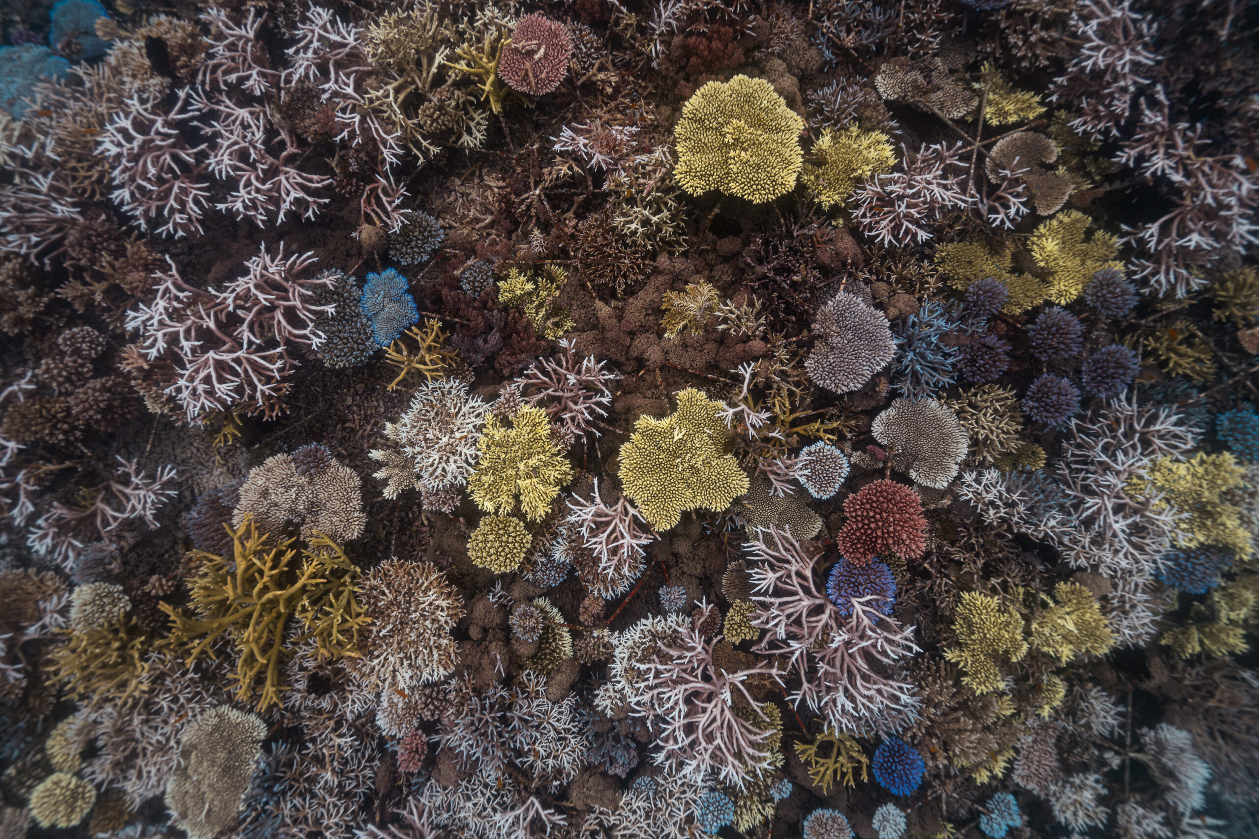 Andi Cross: A message of hope (and a dash of positive deviance ...