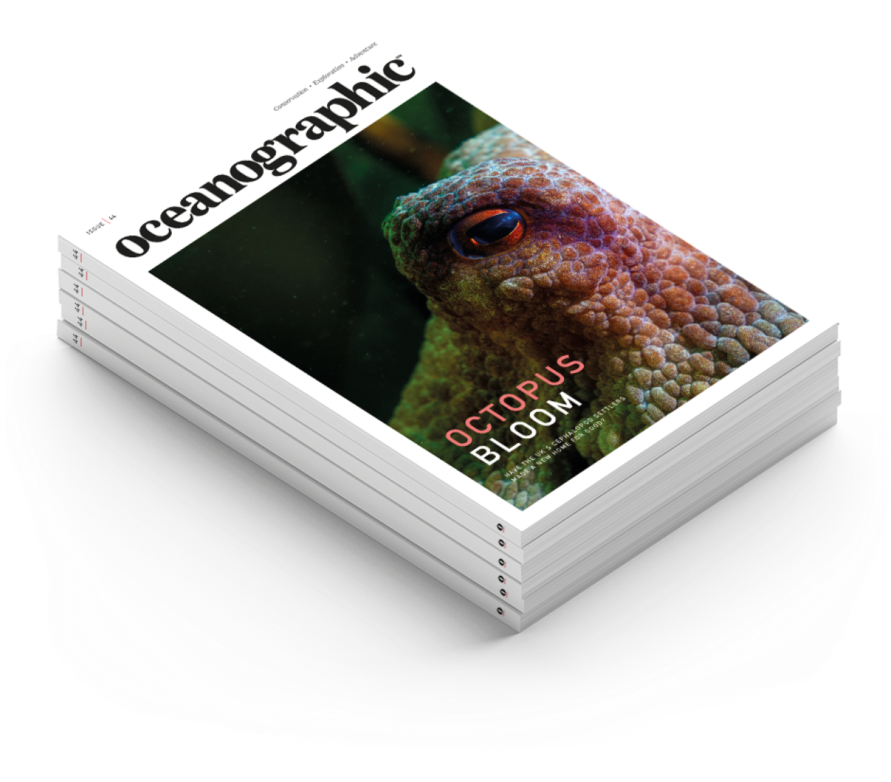 Issue 44 / Octopus bloom - Oceanographic