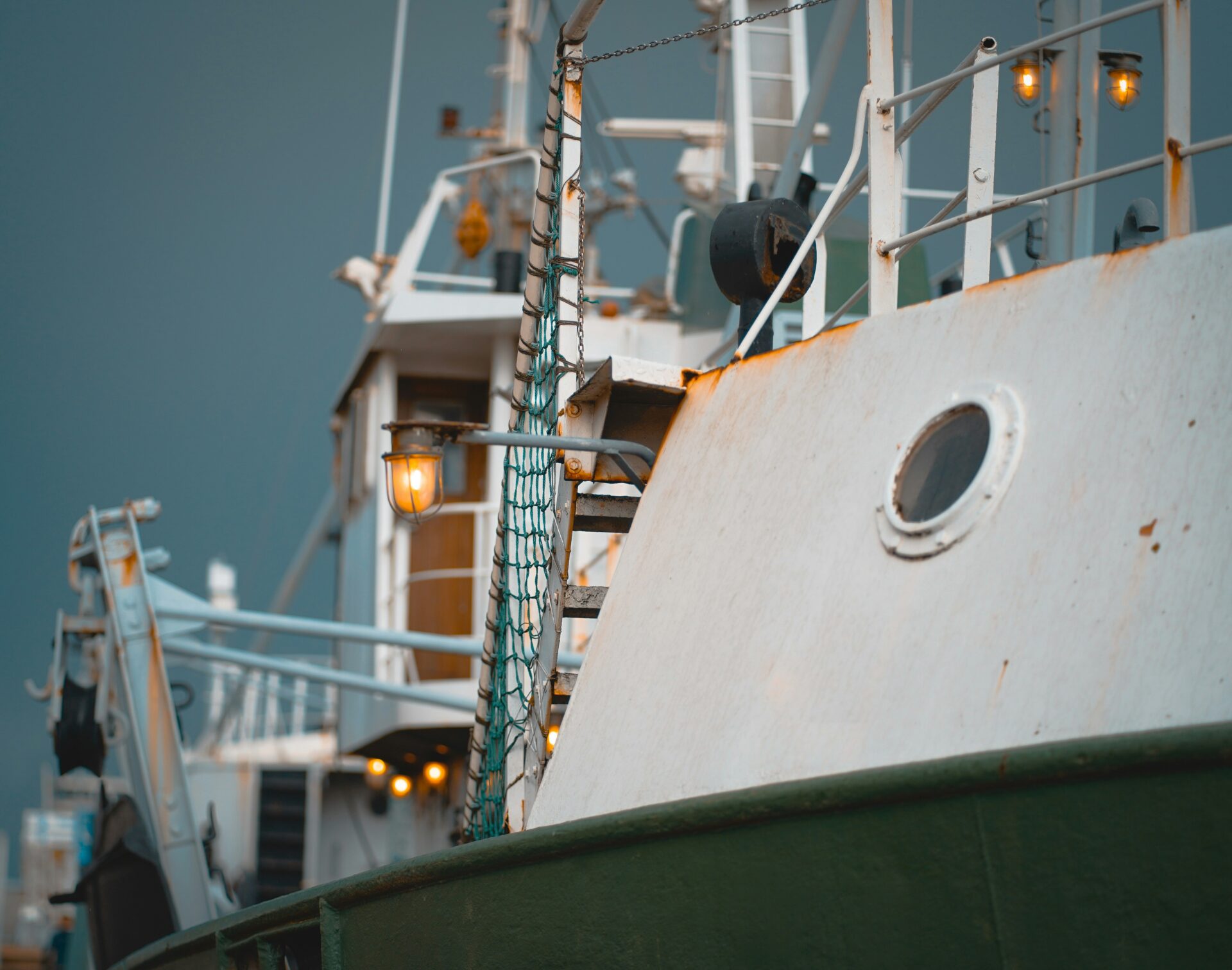 Creepy crustacean: Meet the deep sea predator named 'darkness ...