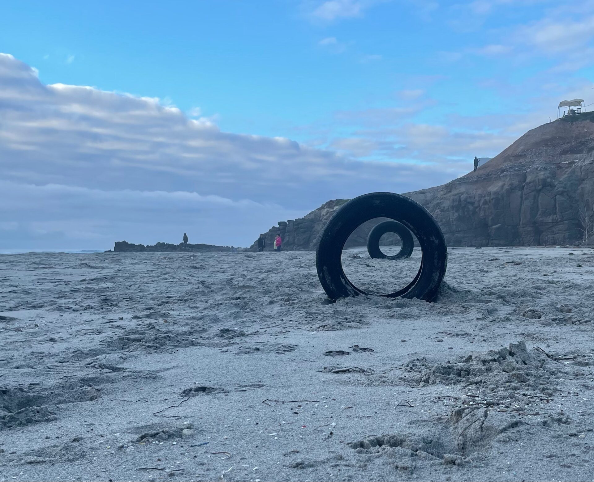 As Arctic continues to warm, ocean ecosystems face major reshape ...