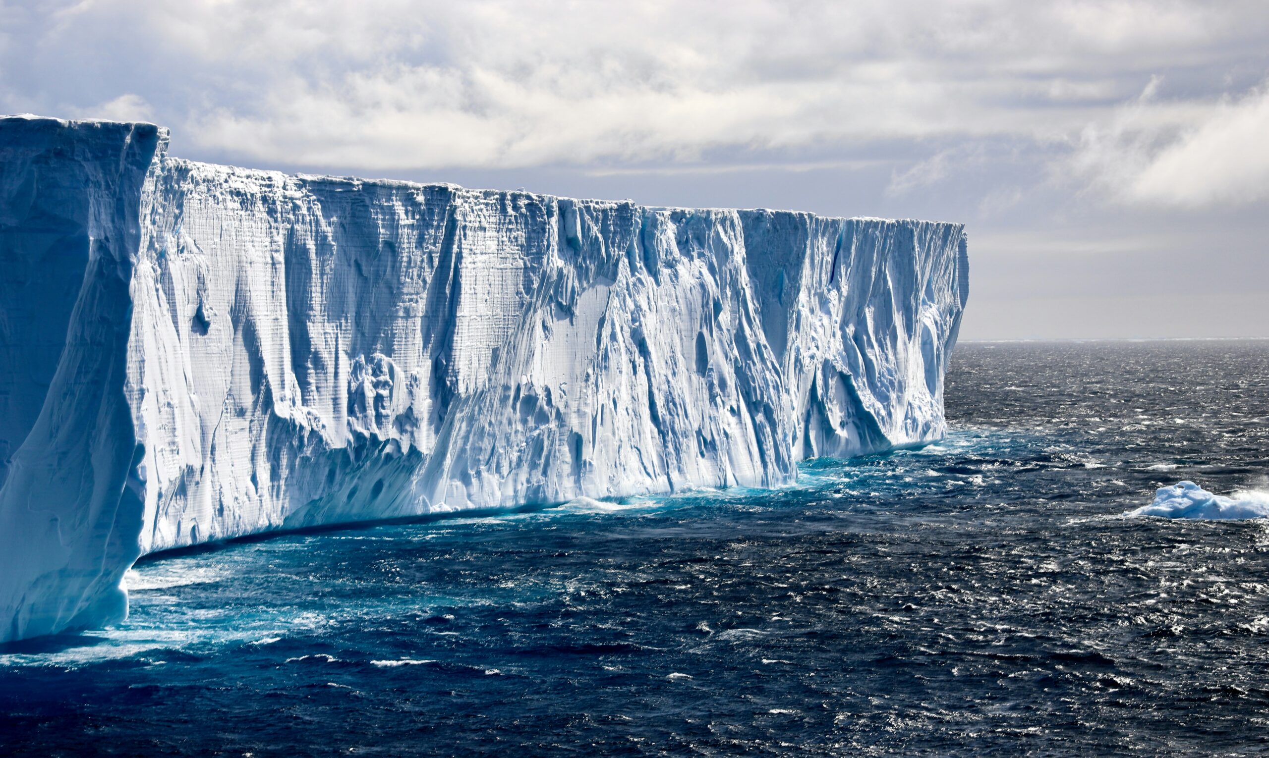 Thousands of 'remarkable icefish nests' found under Antarctic ice ...