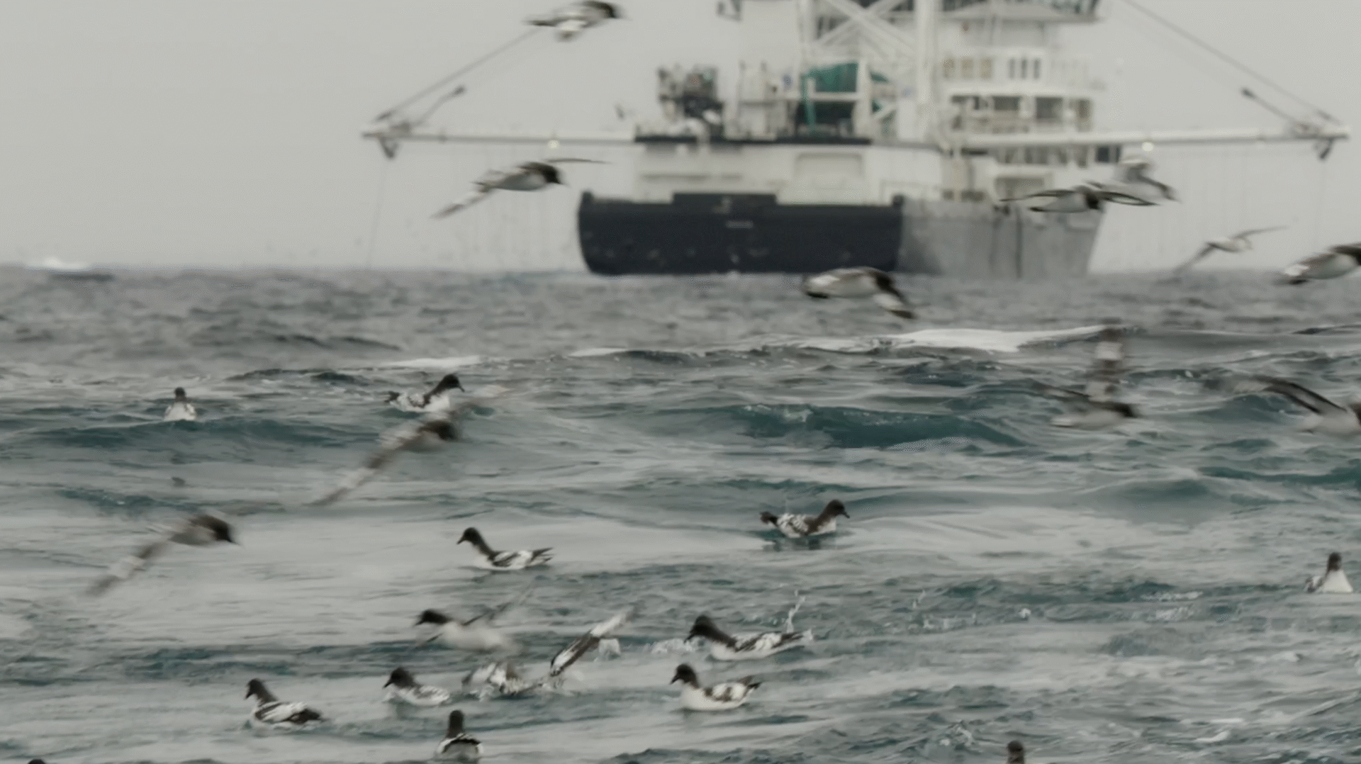 A triple planetary crisis now affects every part of the ocean ...