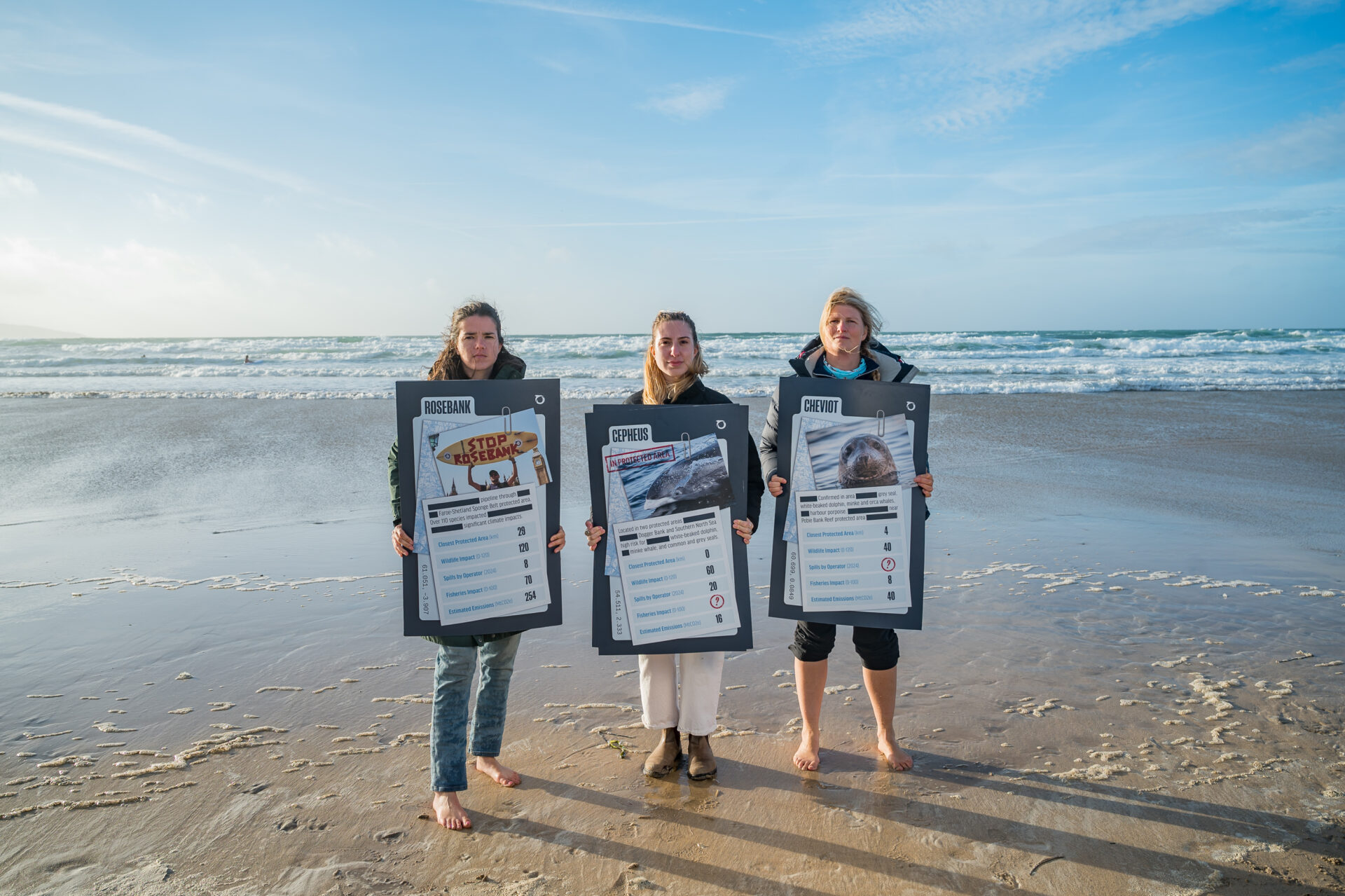 "Shocked, not surprised": Northeast Atlantic mackerel at historic low ...