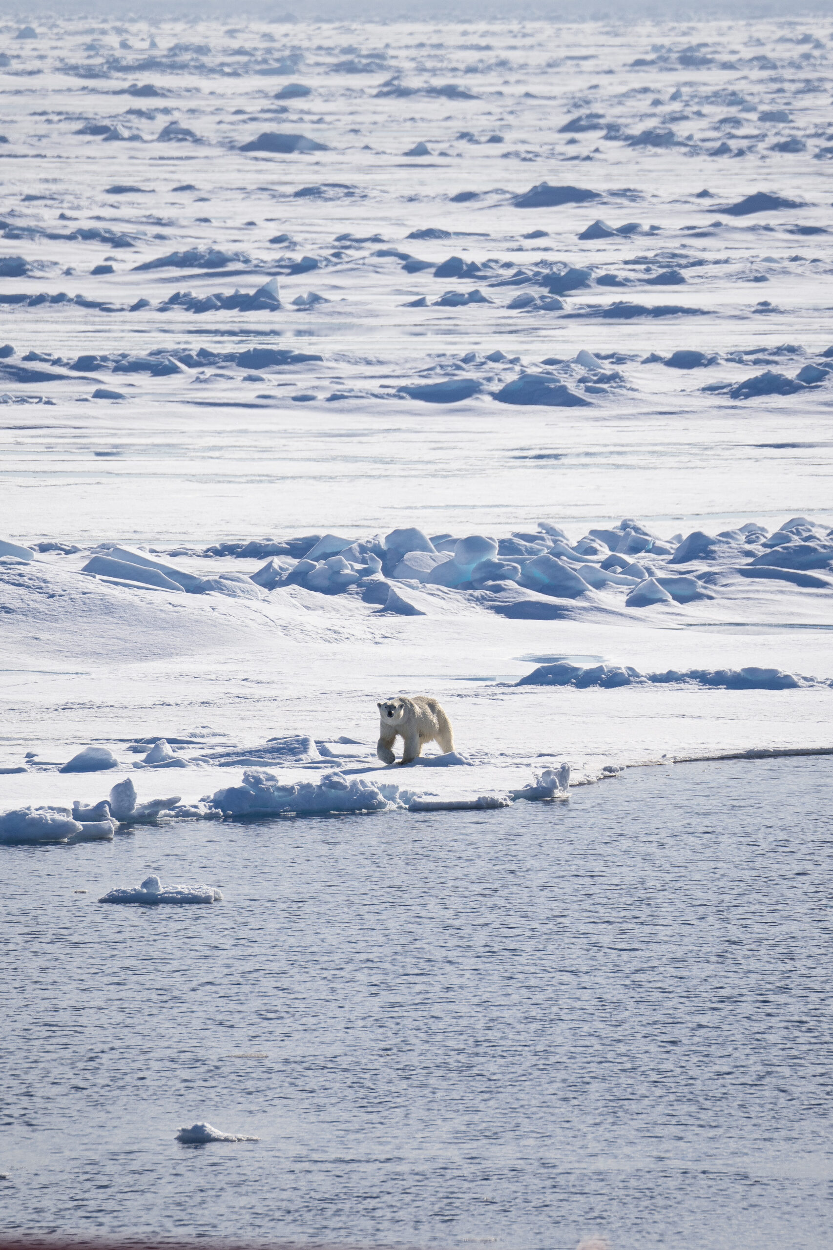 Why are polar experts taking a stand against geo-engineering?