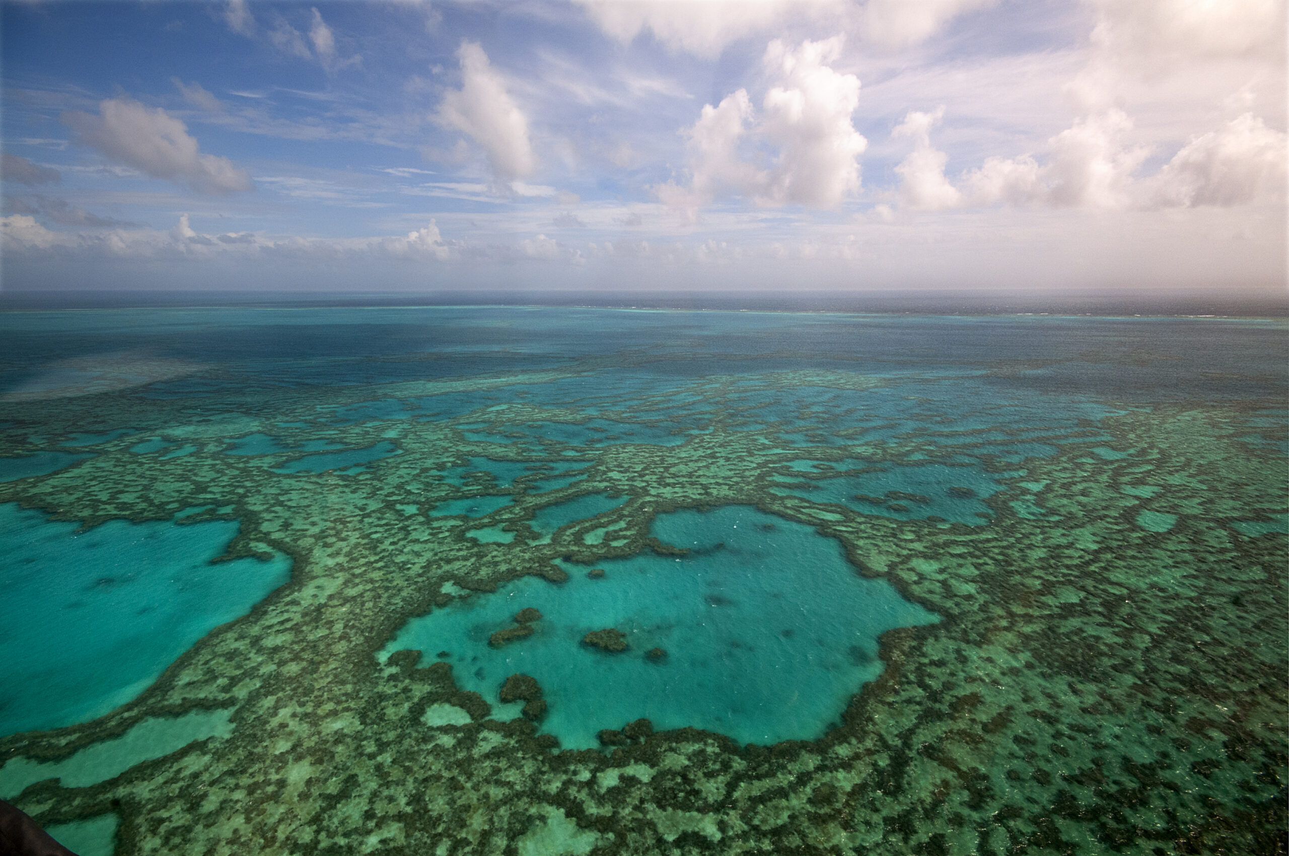 Millions of coral larvae get second chance on Great Barrier Reef ...