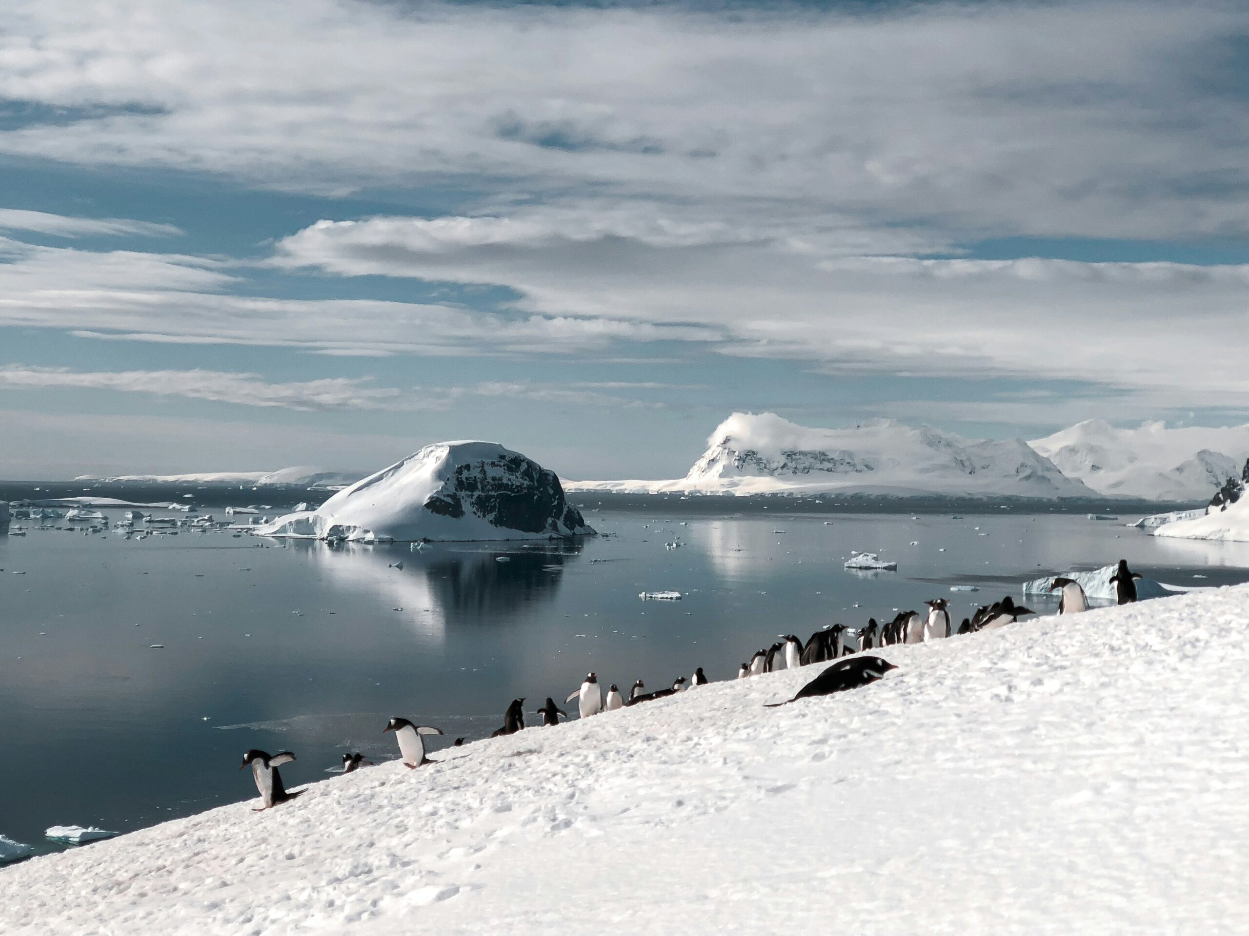 Securing the last frontier: The case for Antarctic ocean protection