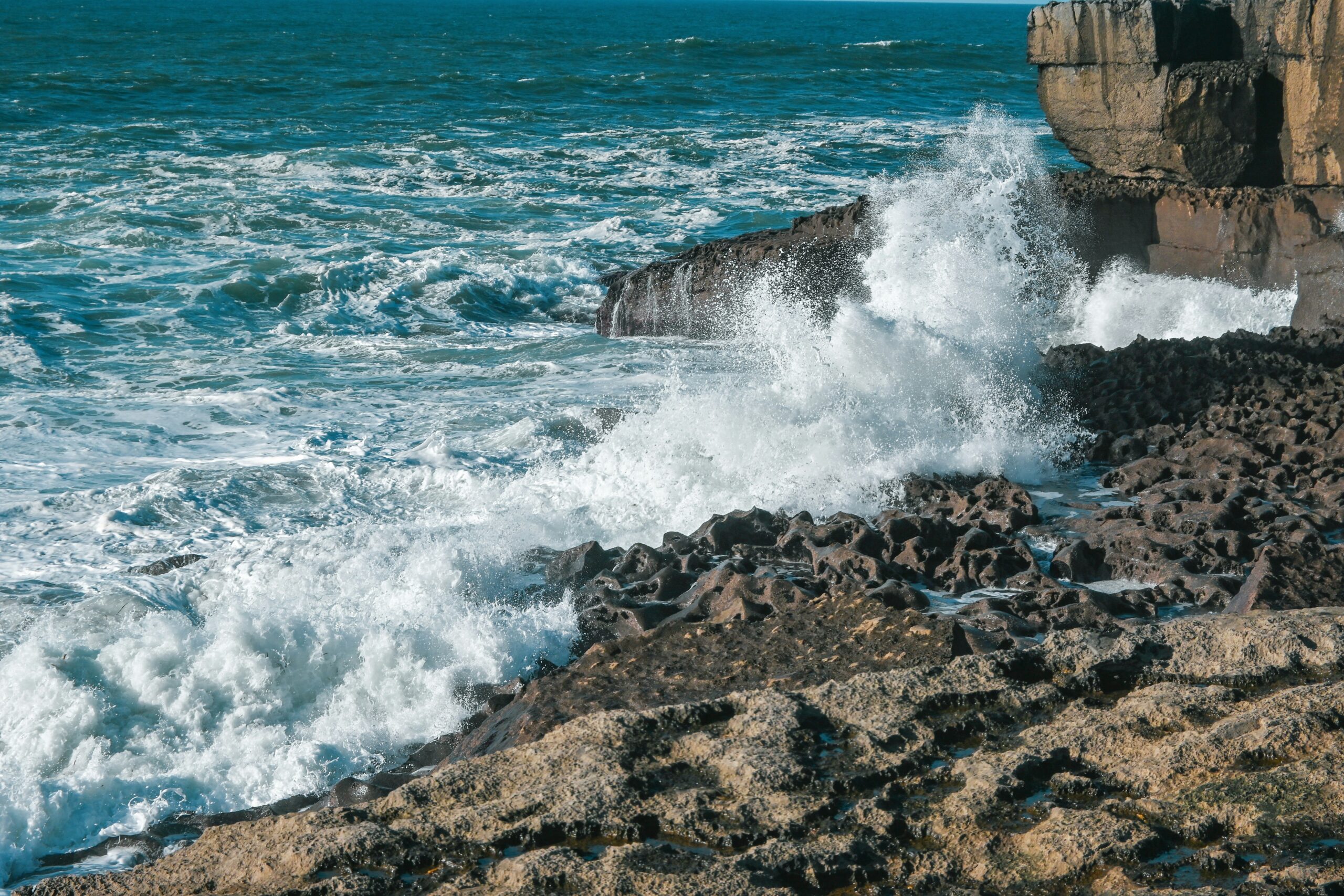 Coastal waters might be acidifying faster than expected - Oceanographic