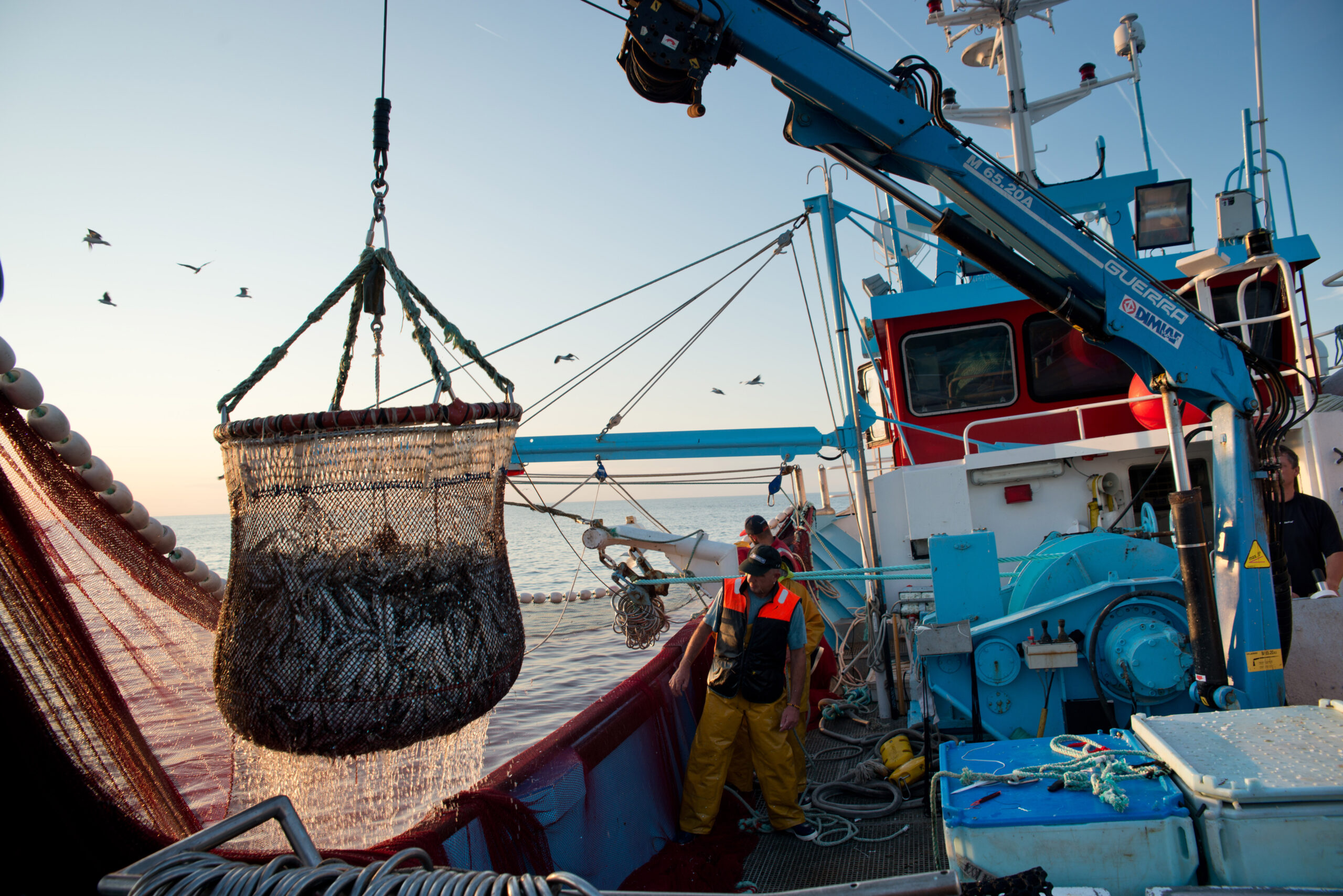 Subsidies buoy failing trawlers amid West Med fish stock depletion ...